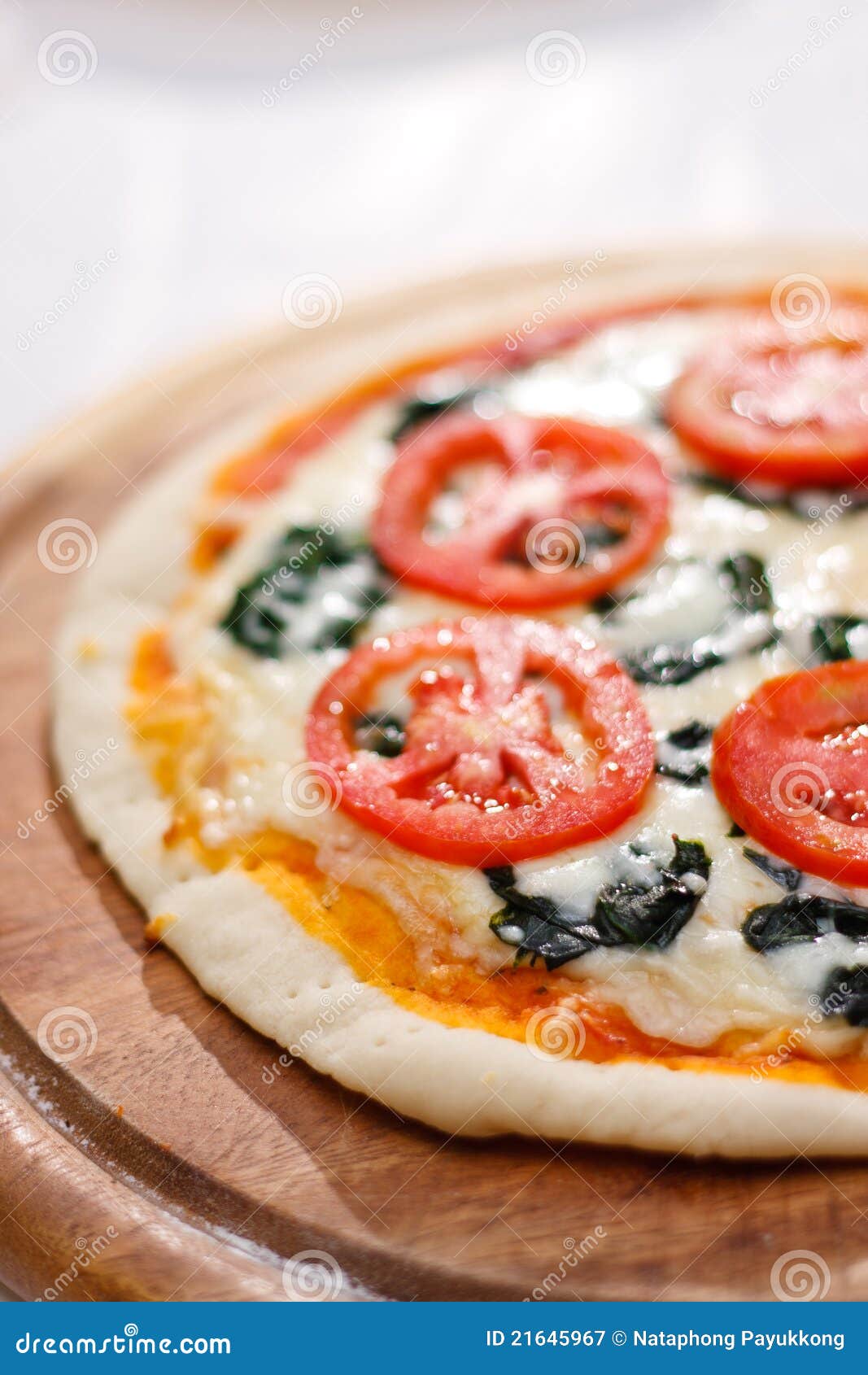 Stove Pizza stock image. Image of basil, dinner, gourmet - 21645967