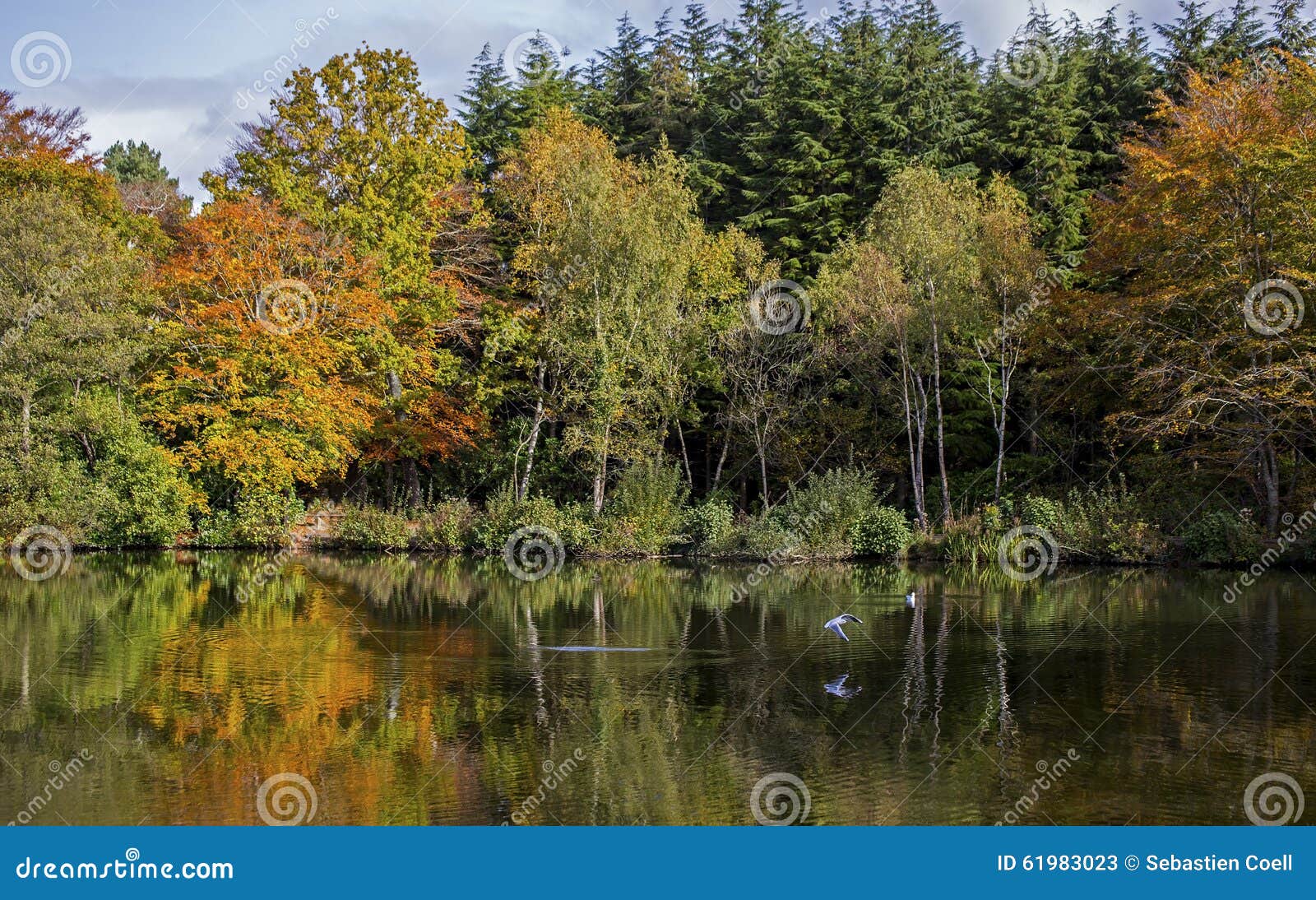 Stover lake stock image. Image of newton, landscape, park - 61983023