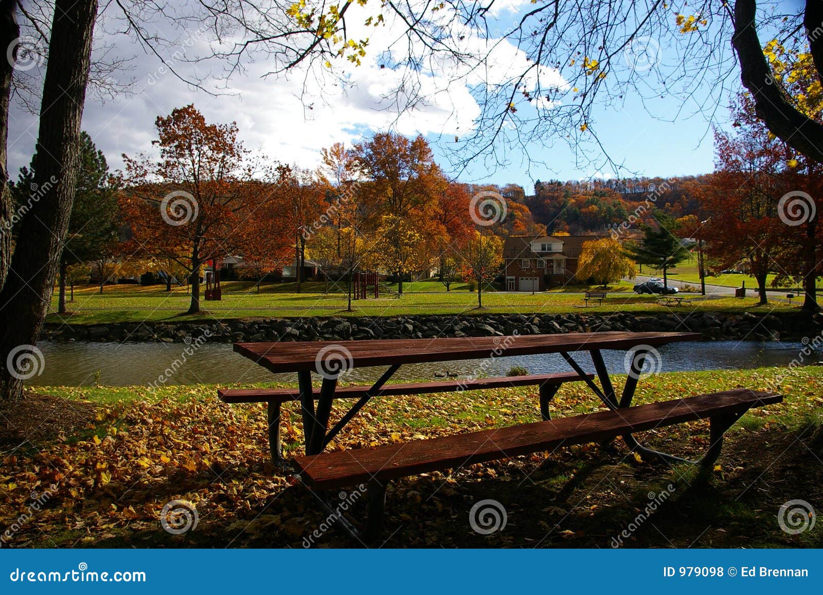 Stoyer s Dam stock photo. Image of table, foliage, water - 979098