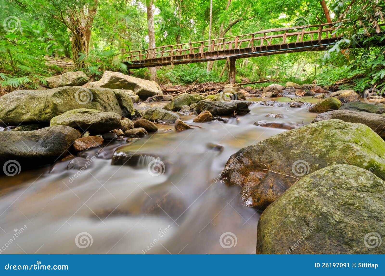 Ström I Tropiska Regnskogar Fotografering för Bildbyråer - Bild av ...