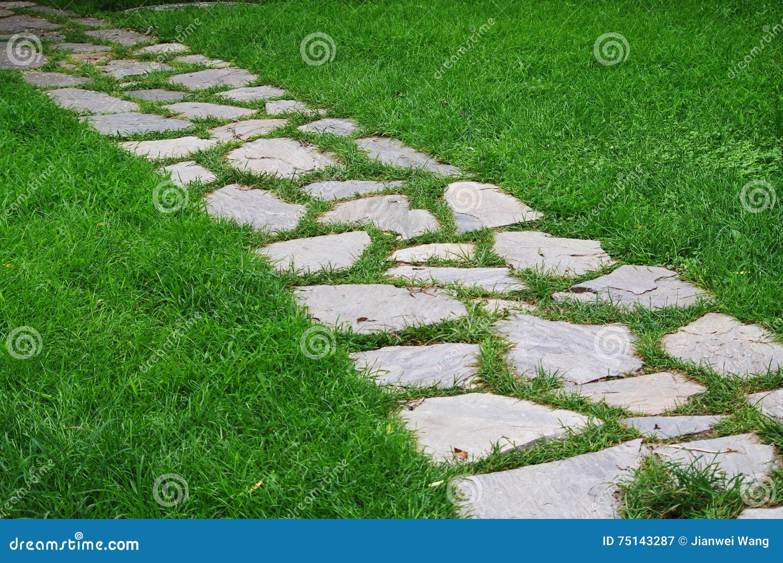 Straße Gepflastert Mit Stein Im Rasen Stockbild - Bild von landschaft ...