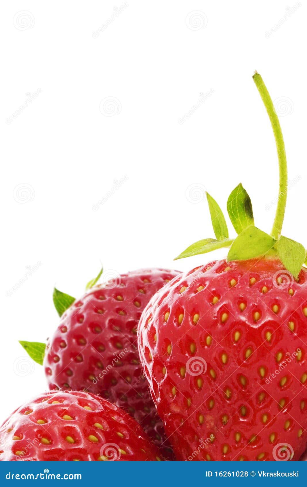 Straberries stock photo. Image of refreshment, organic - 16261028
