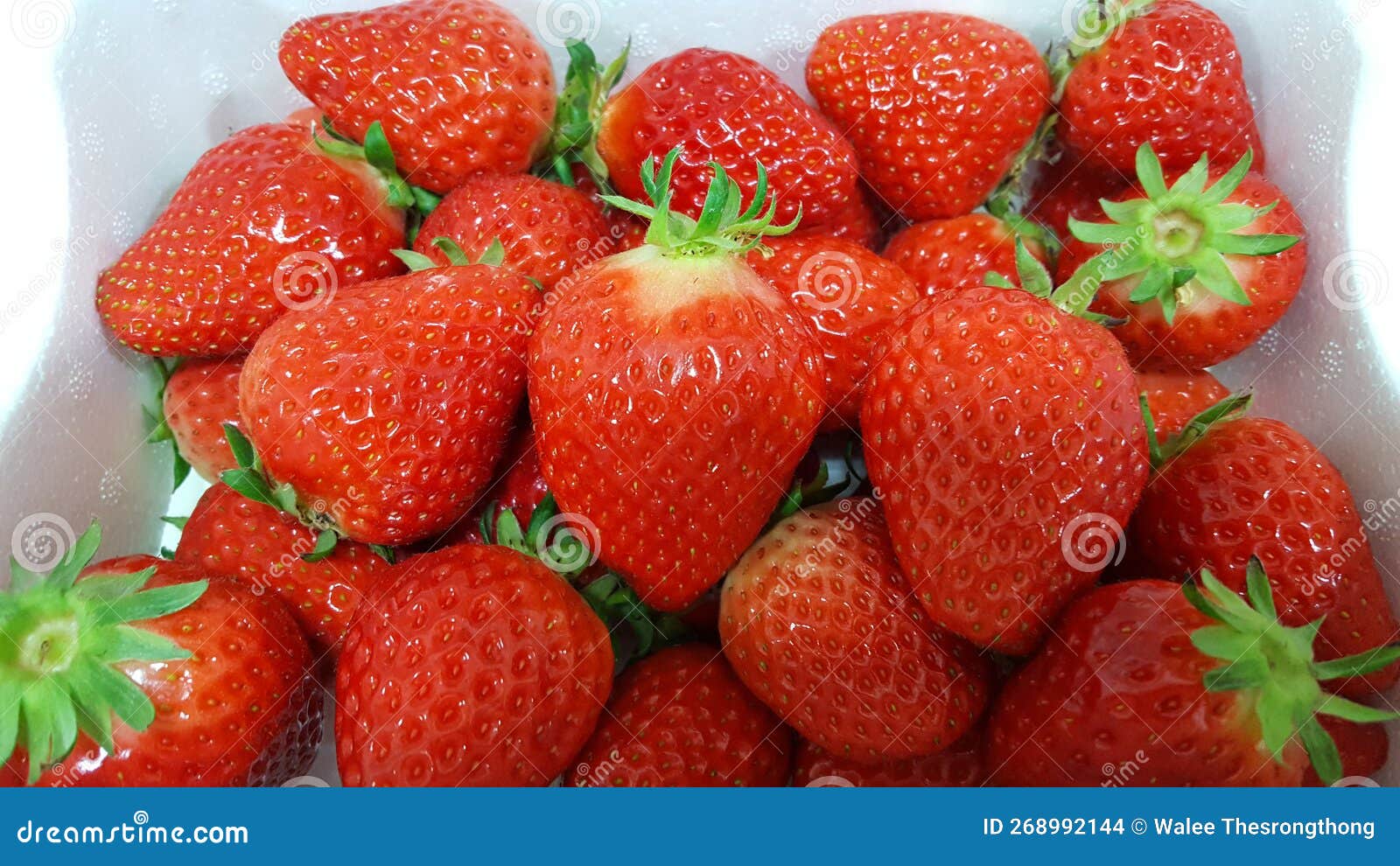 Straberry stock photo. Image of dessert, vegetable, citrus - 268992144