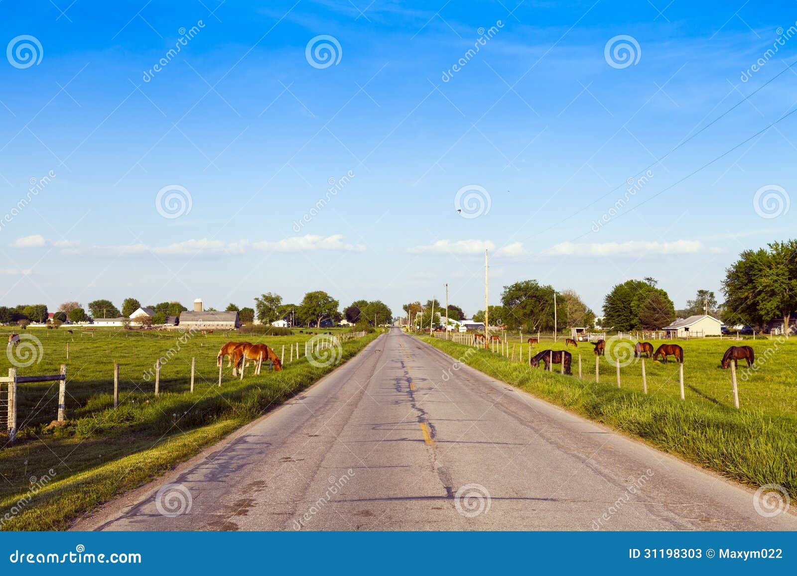 Strada Americana Della Campagna Immagine Stock - Immagine di raccolto ...