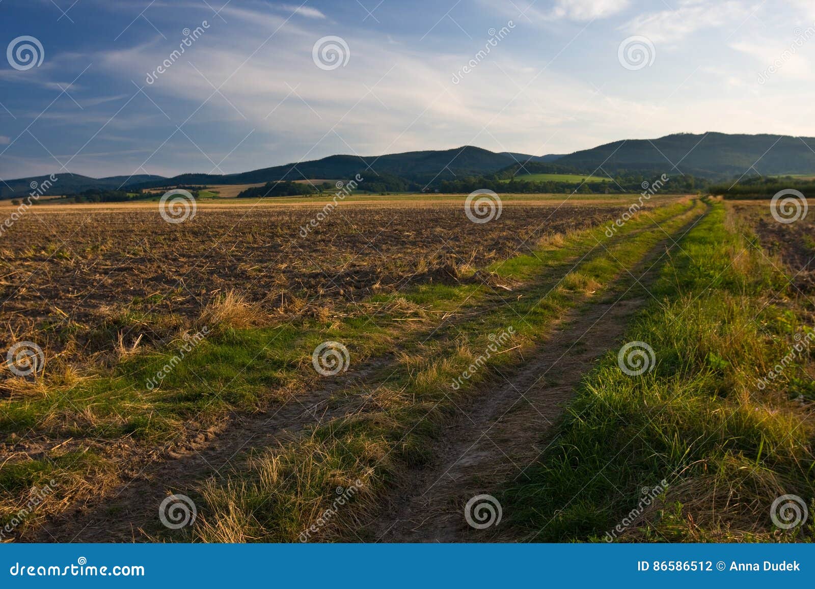 Strada attraverso i campi fotografia stock. Immagine di fango - 86586512