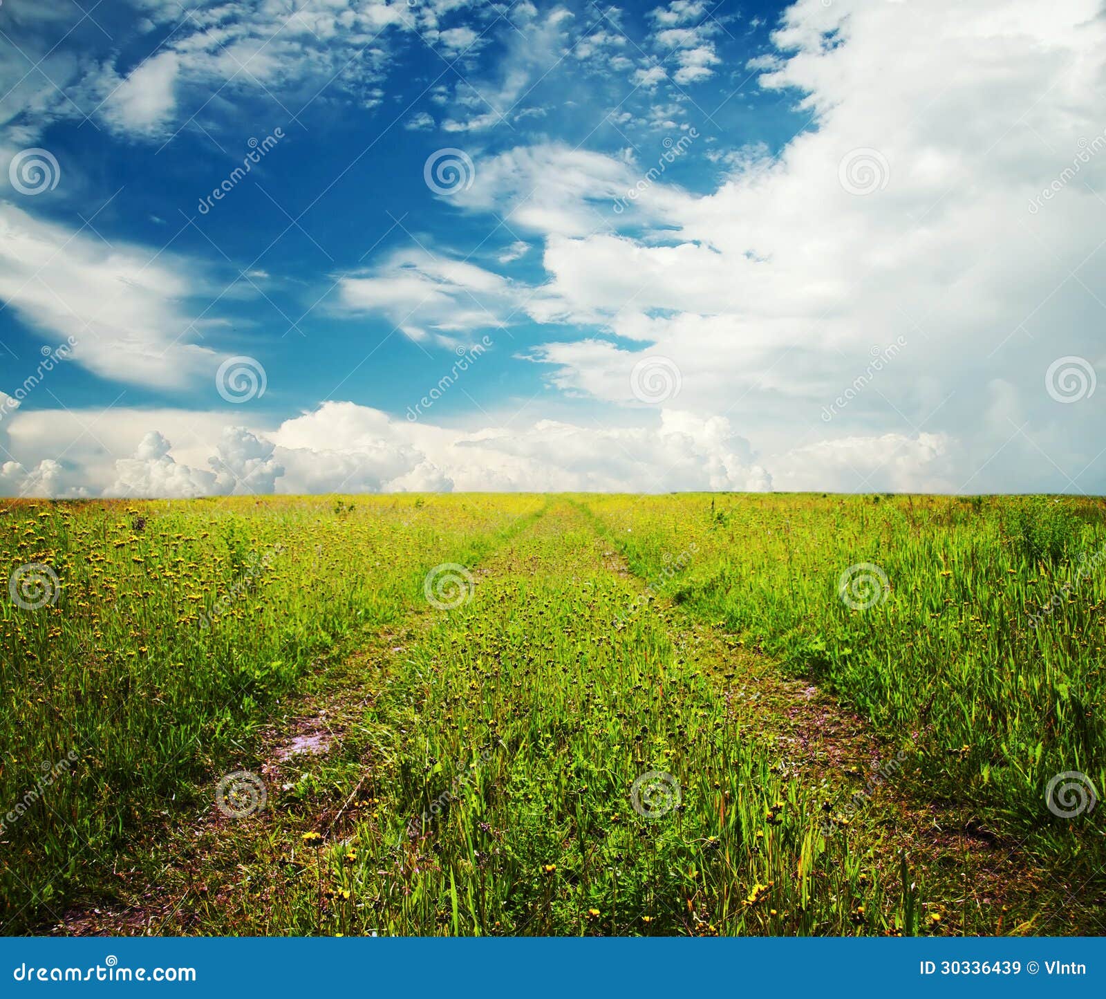 Strada nei campi immagine stock. Immagine di giorno, bellezza - 30336439