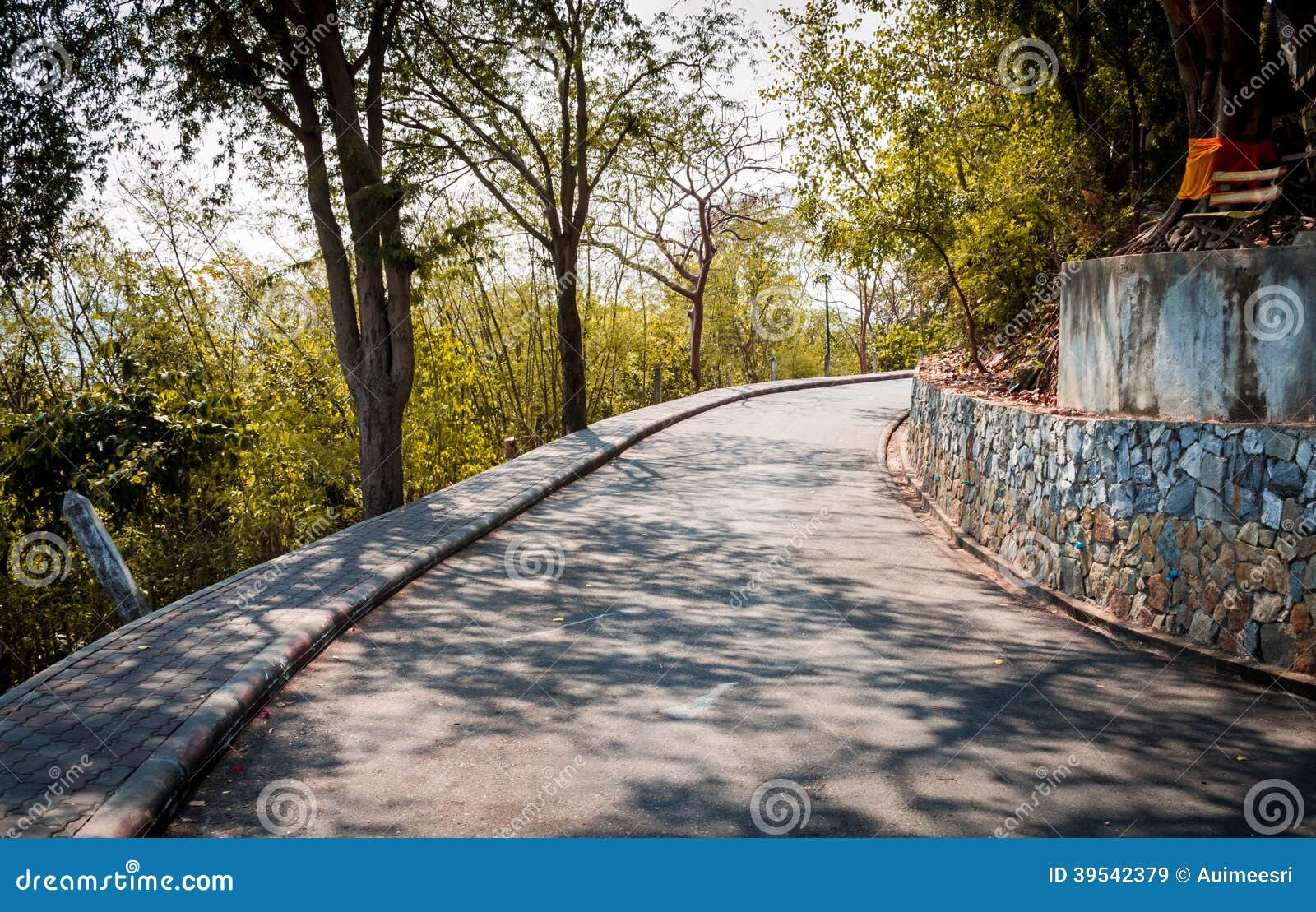 Strada Curva Con Gli Alberi Immagine Stock - Immagine di autostrada ...