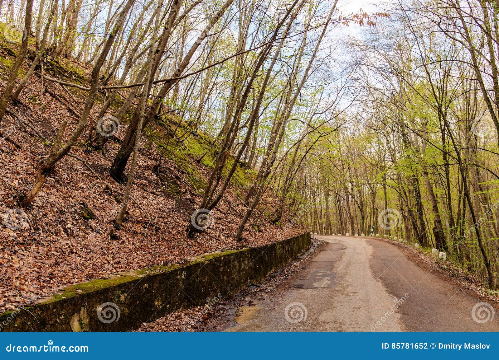 Strada Della Montagna in Primavera Fotografia Stock - Immagine di molla ...