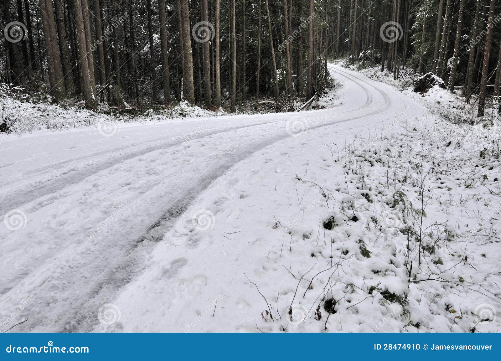 Strada Di Bobina Innevata Nella Montagna Fotografia Stock - Immagine di ...