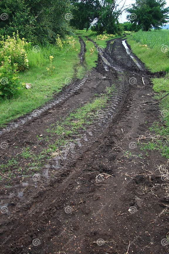 Strada fangosa fotografia stock. Immagine di fango, camion - 15781592