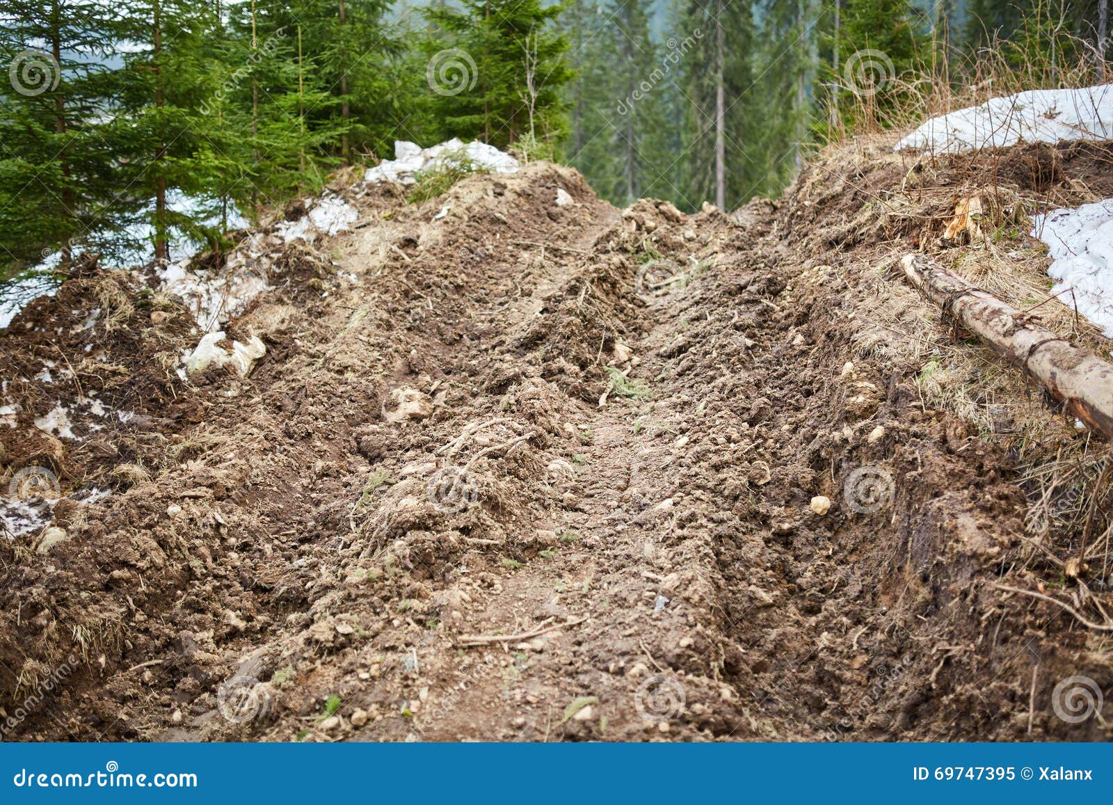 Strada Fangosa Nella Foresta Immagine Stock - Immagine di sfondo, terra ...