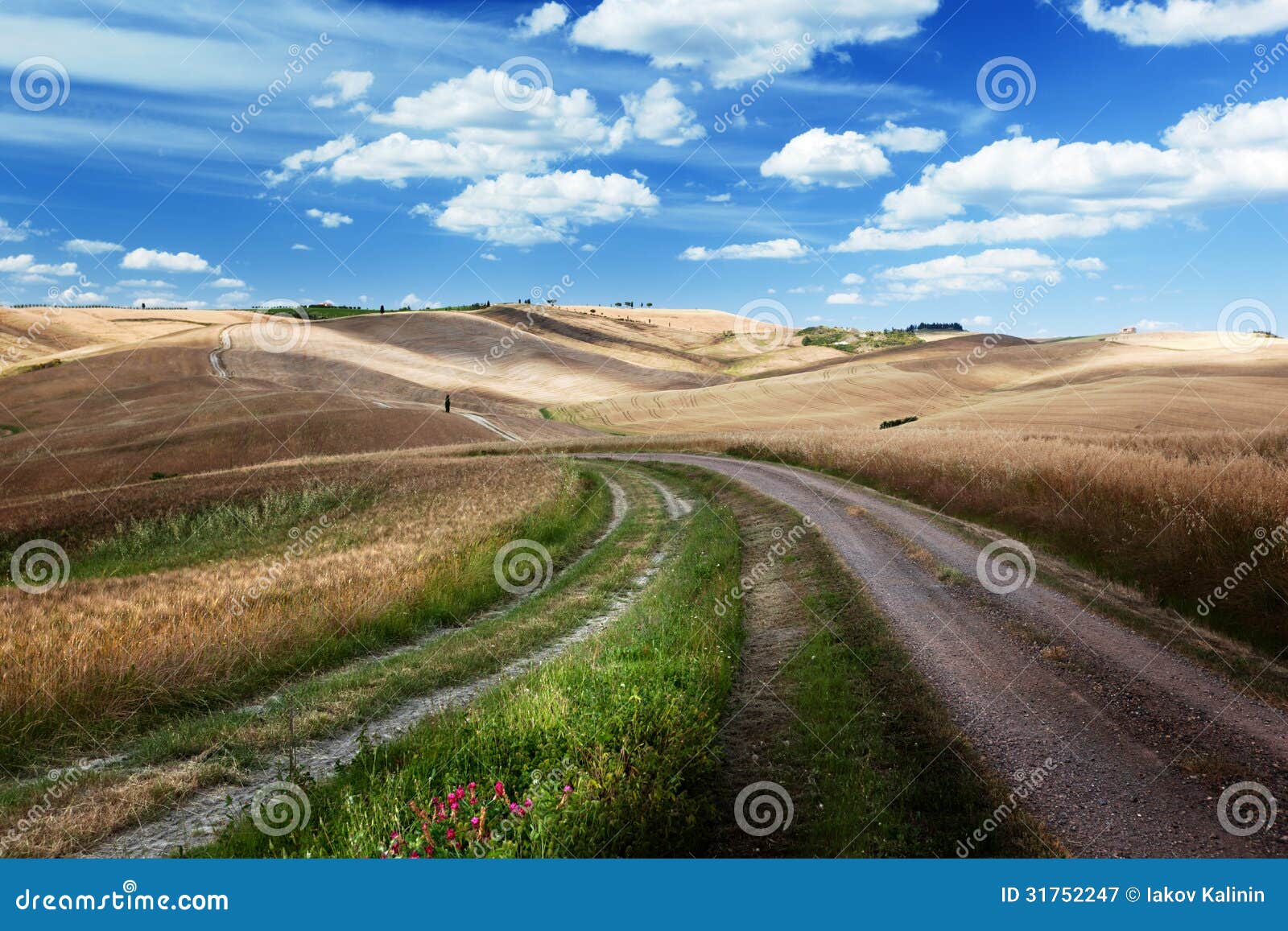 Strada Fra I Campi Della Toscana Immagine Stock - Immagine di asciutto ...
