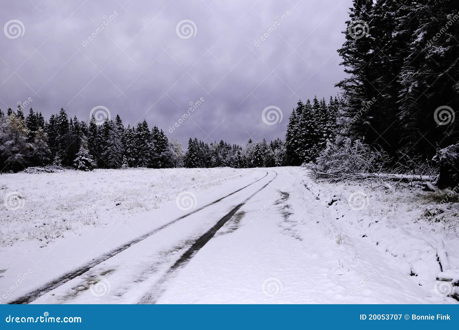 Strada Innevata Immagine. Immagine: 20053707