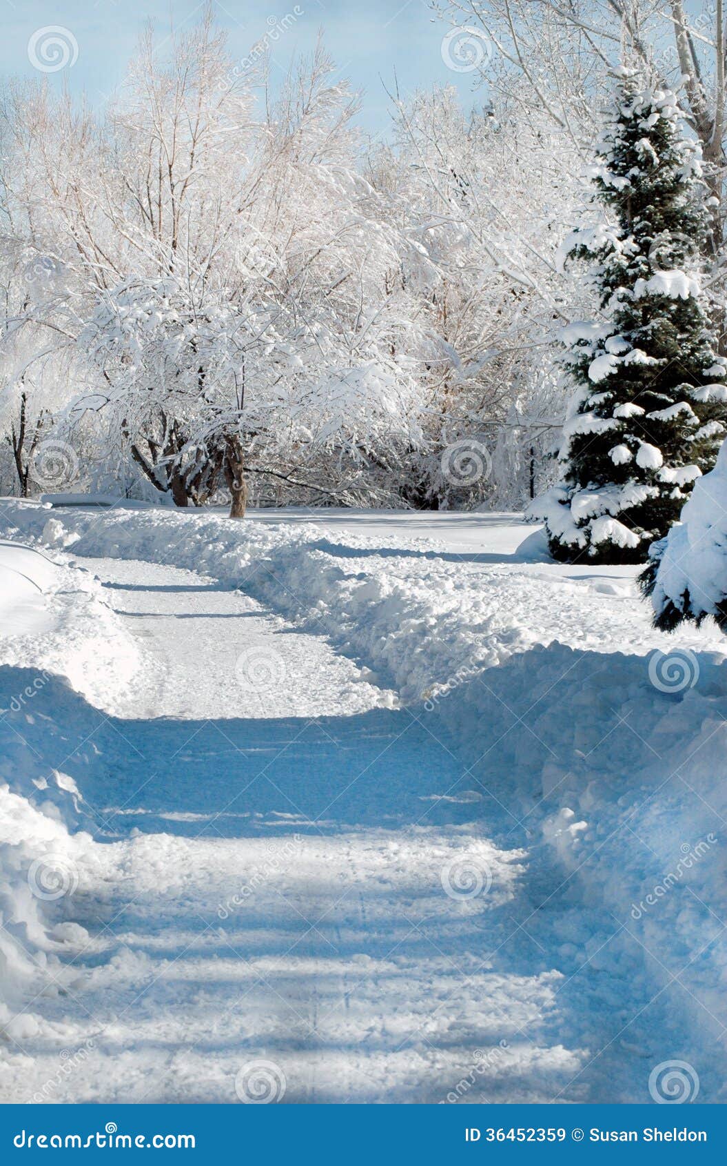 Strada innevata immagine stock. Immagine di ghiacciato - 36452359