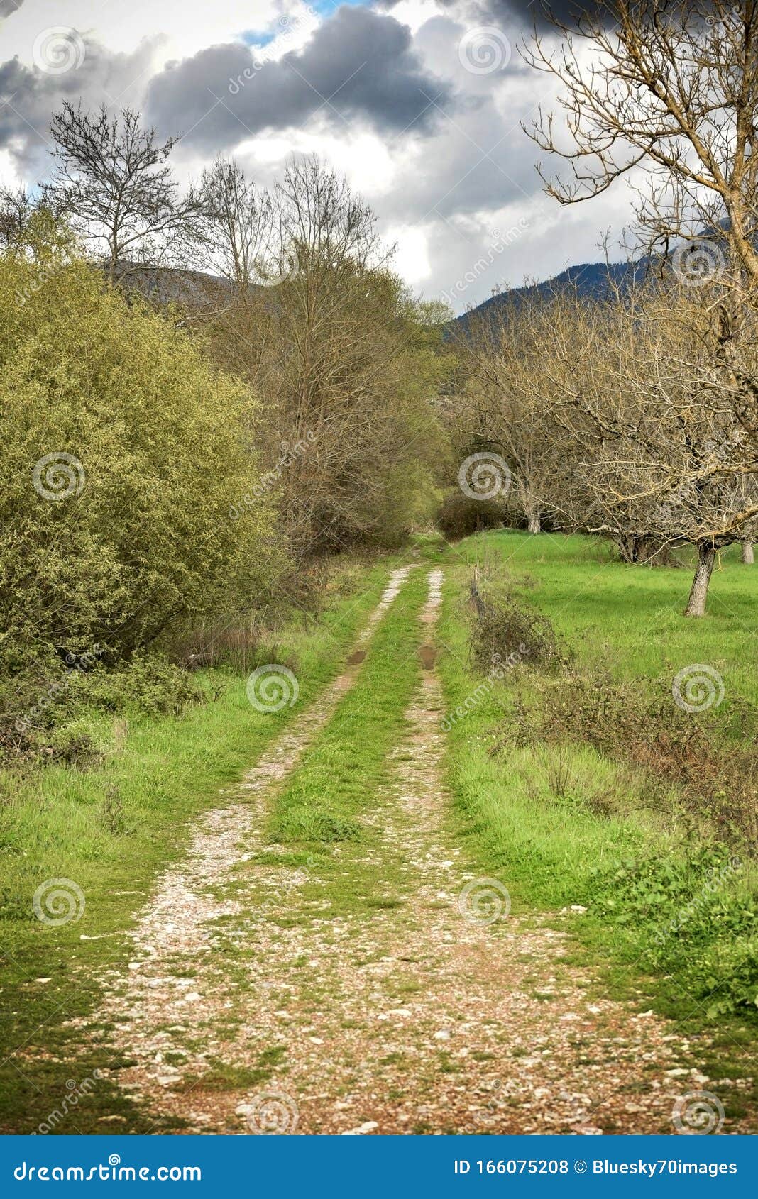 Strada Nazionale, Campi E Alberi in Autunno Fotografia Stock - Immagine ...