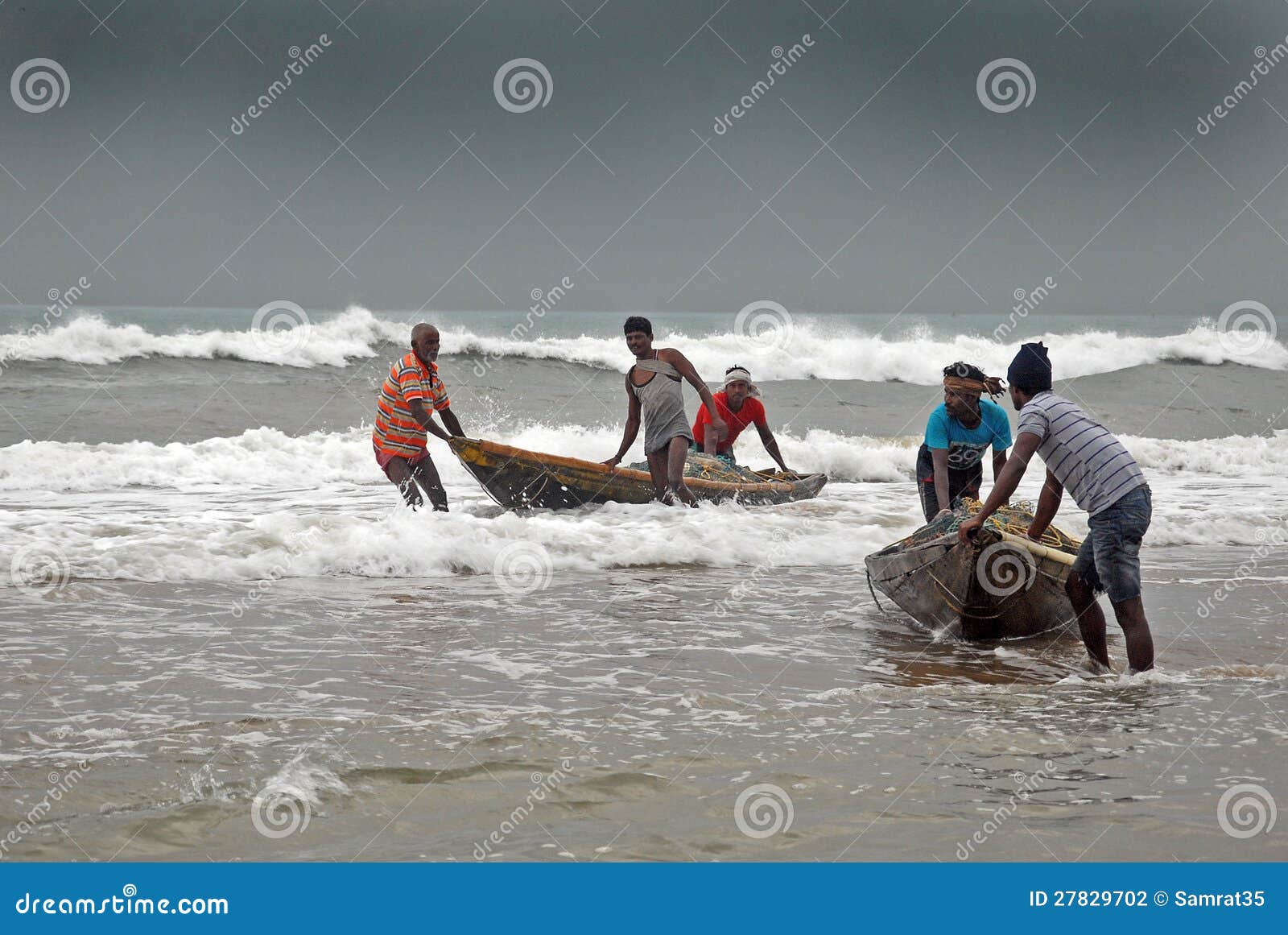 Straggle for Survival editorial photography. Image of colour - 27829702