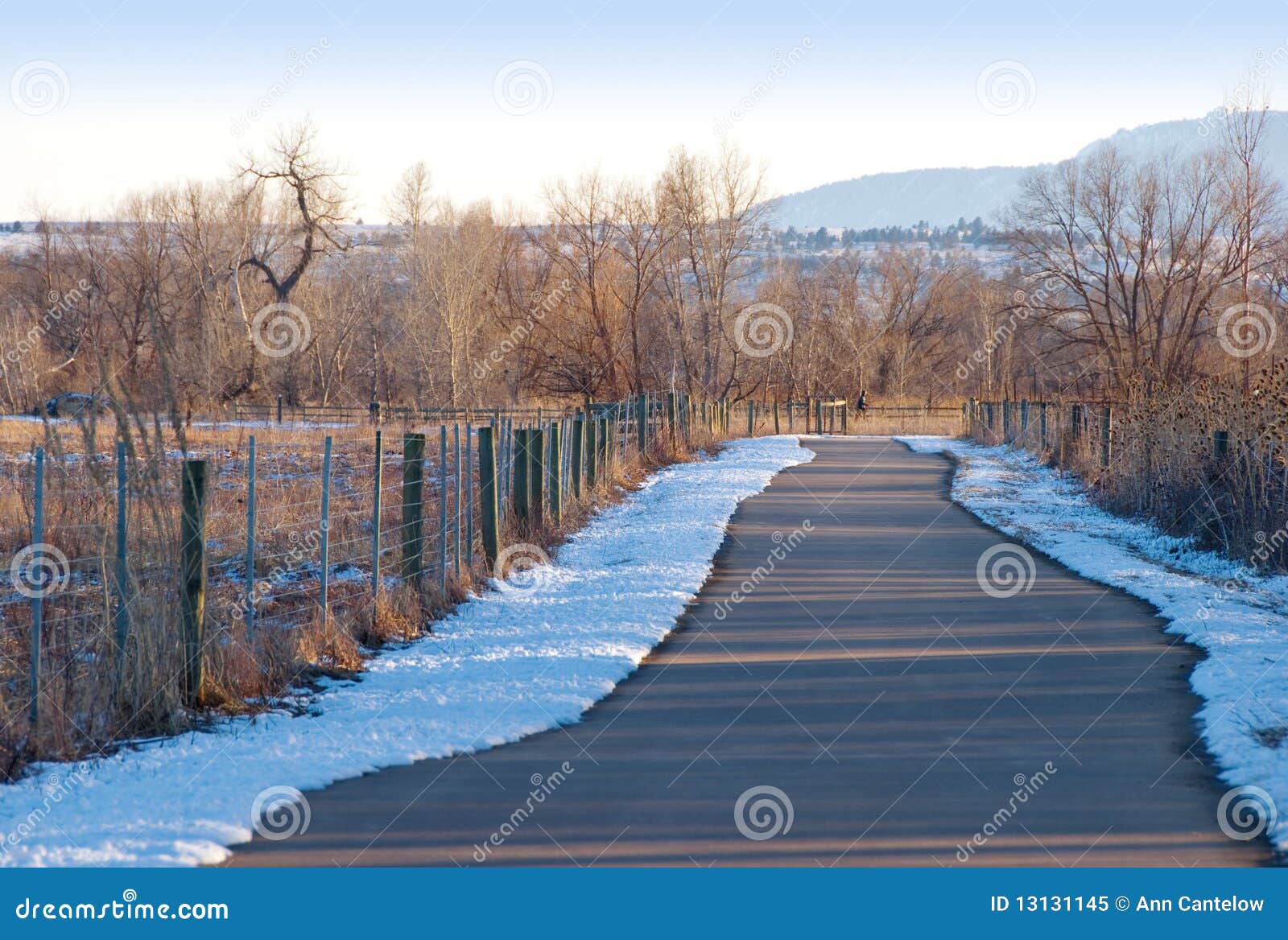 Straight Ahead Path through the Prairie Stock Image - Image of journey ...