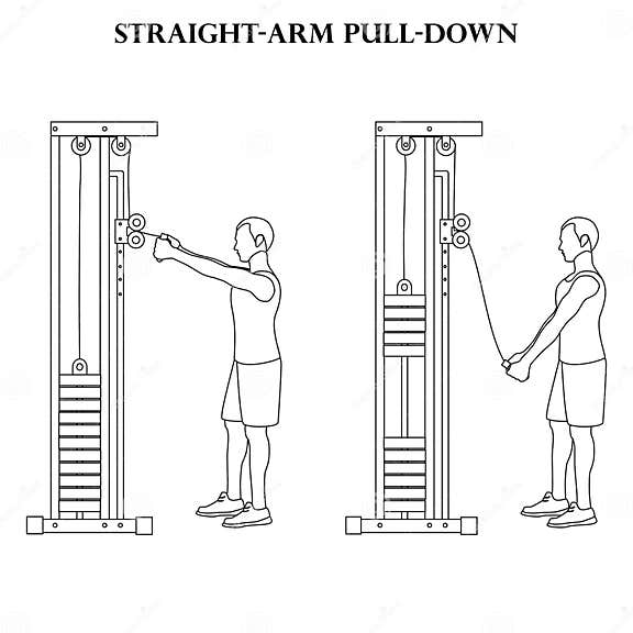 Straight-arm Pull-down Exercise Strength Workout Vector Illustration ...