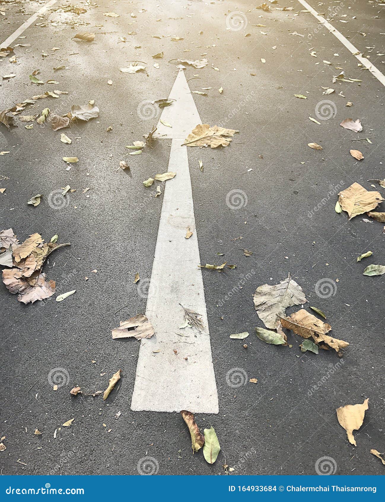 The Straight Arrow on the Road, Which Represents the Concept Going ...