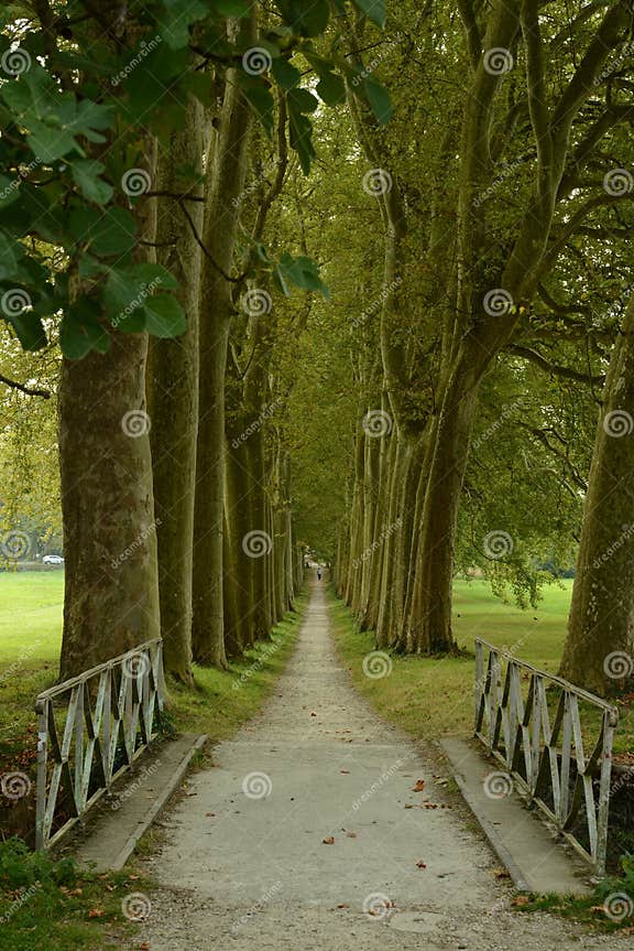 Straight bicycle path stock photo. Image of summer, path - 55408508