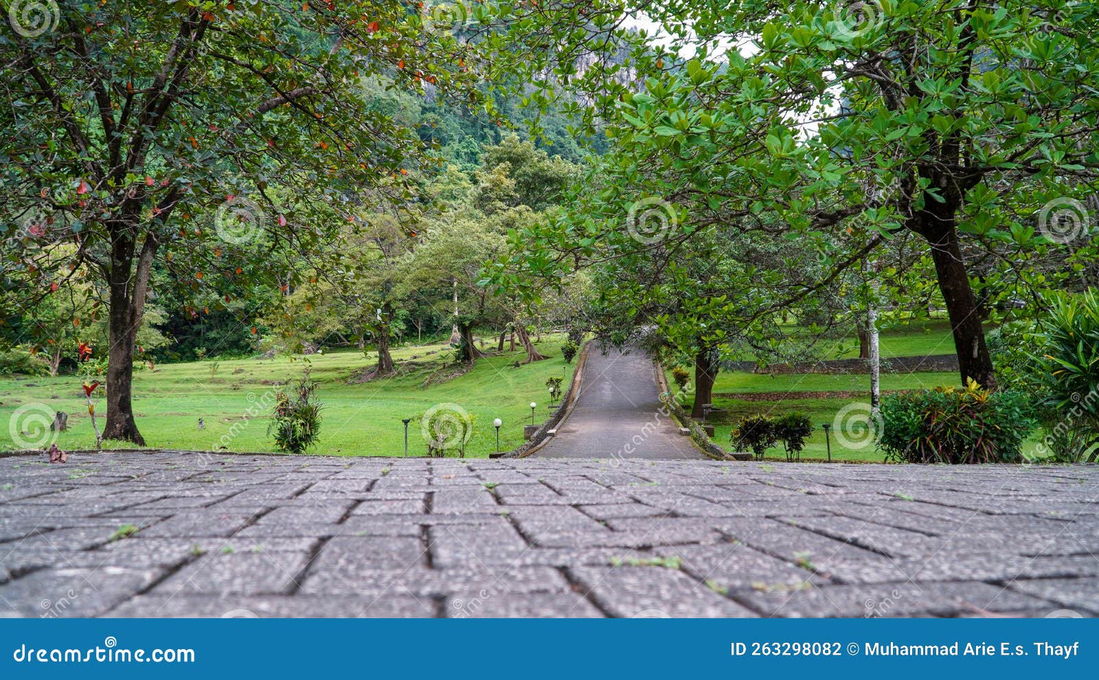 Low Angle Photo of a Path in a Park. Bumpy Path in the Park Stock Photo ...