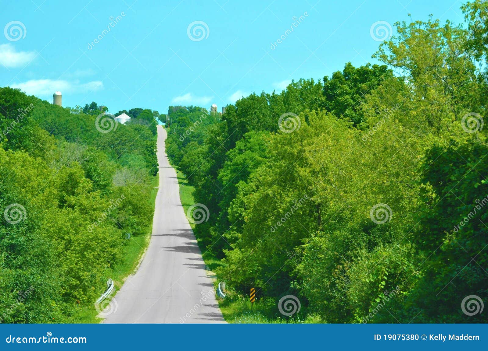 Straight Country Road through the Trees Stock Photo - Image of farm ...