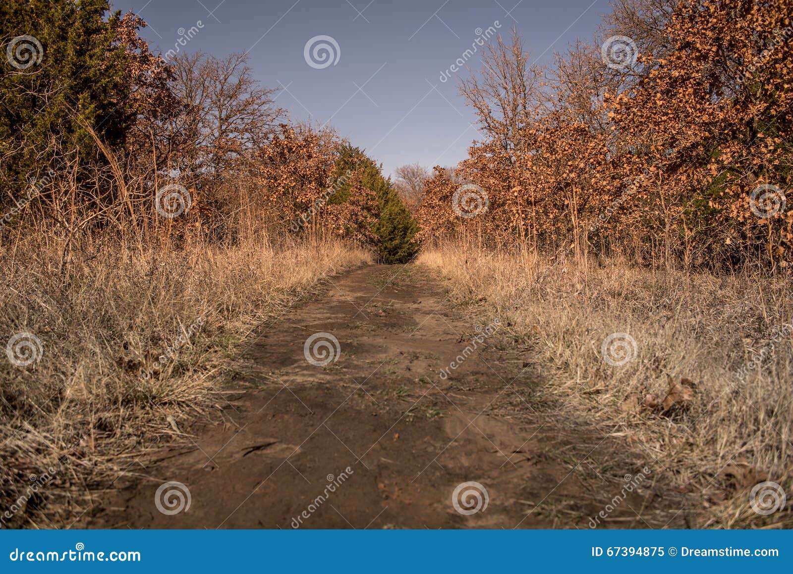 Straight Dirt Path stock image. Image of winding, texas - 67394875