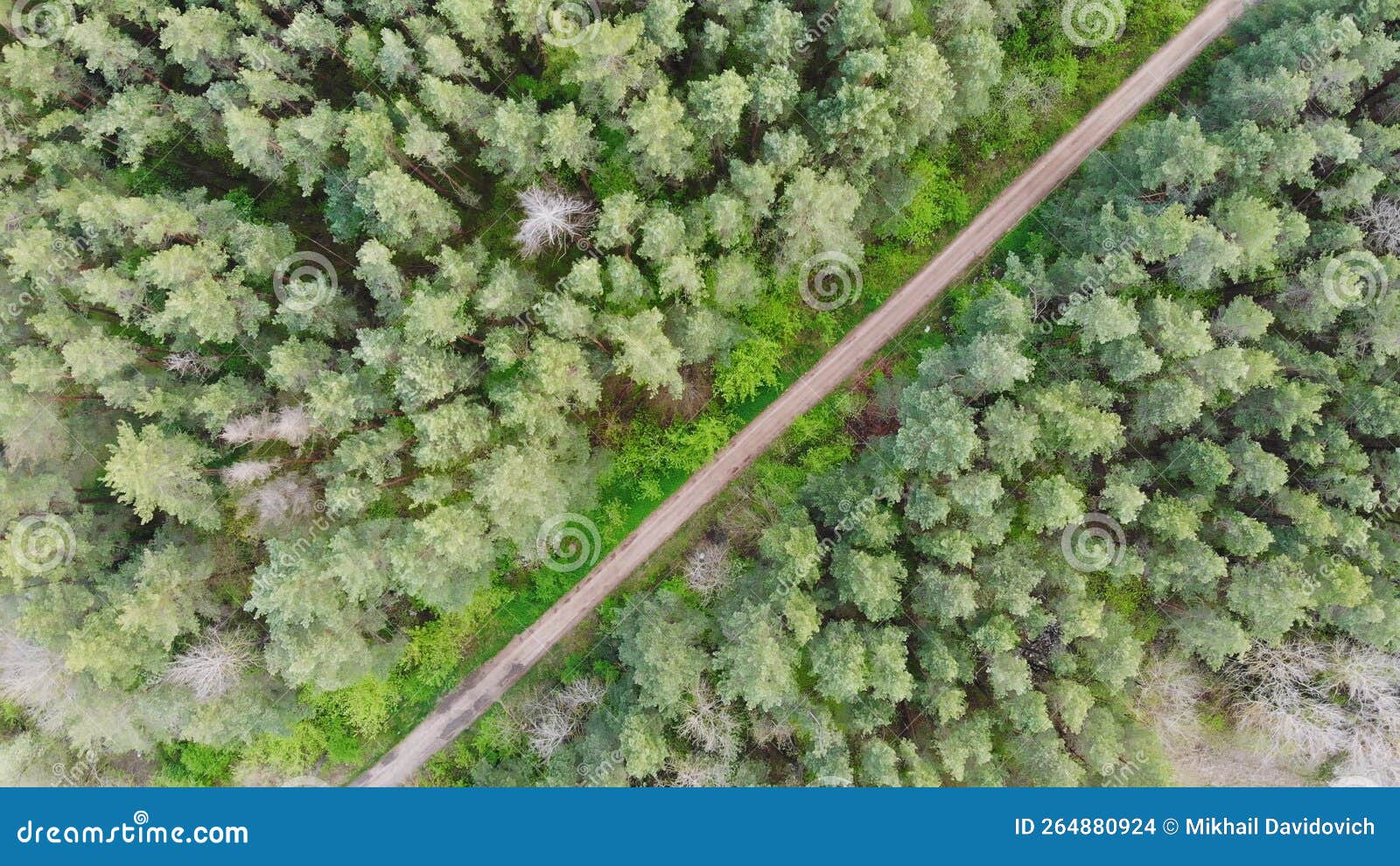 A Straight Forest Road. View from a Drone. Stock Photo - Image of ...
