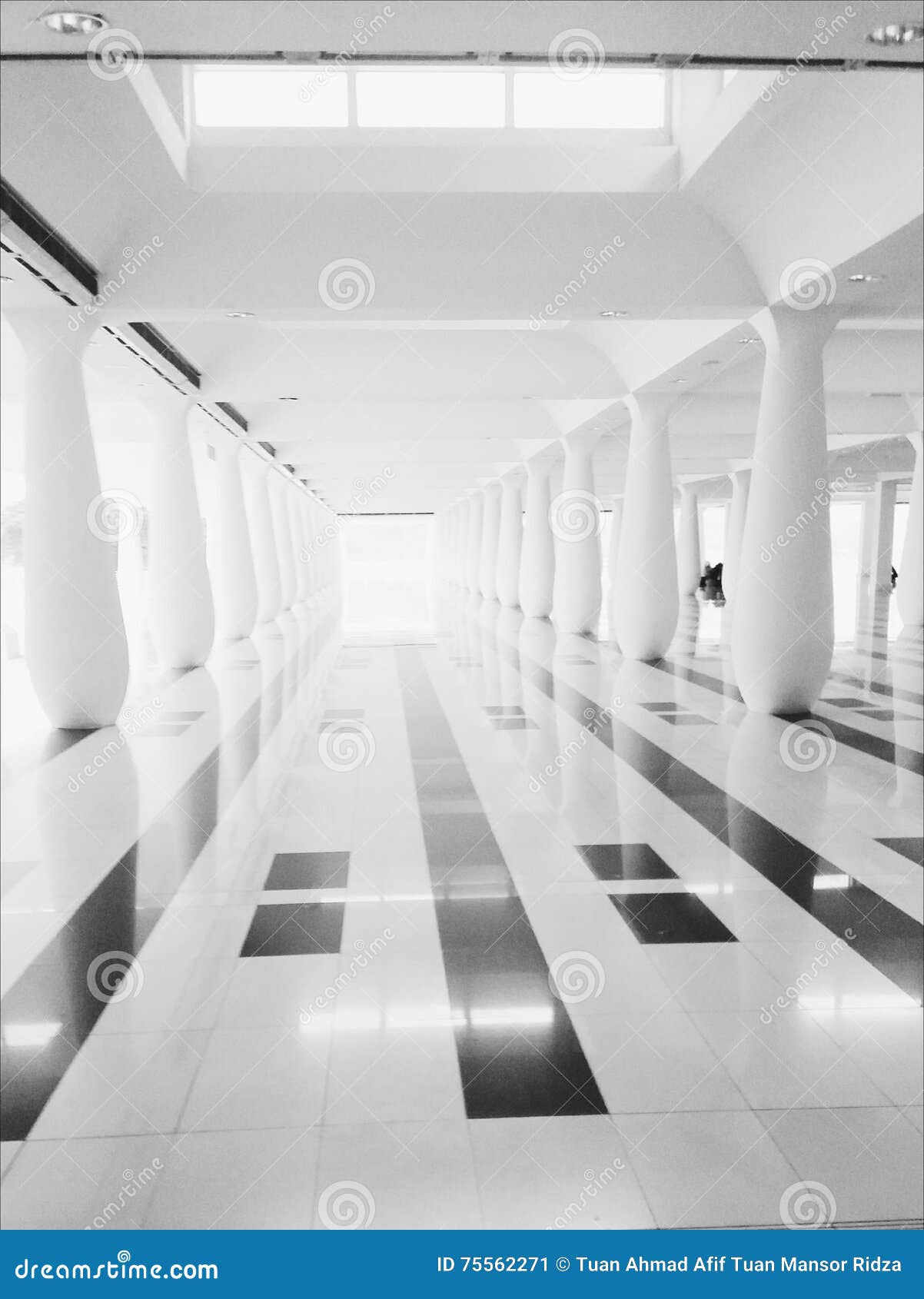 Straight forward stock image. Image of angle, white, dark - 75562271