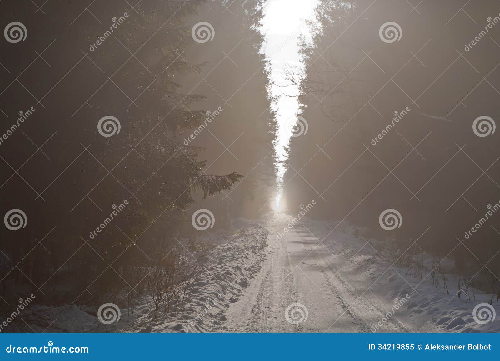 Straight Ground Road in Snow Stock Image - Image of midday, point: 34219855