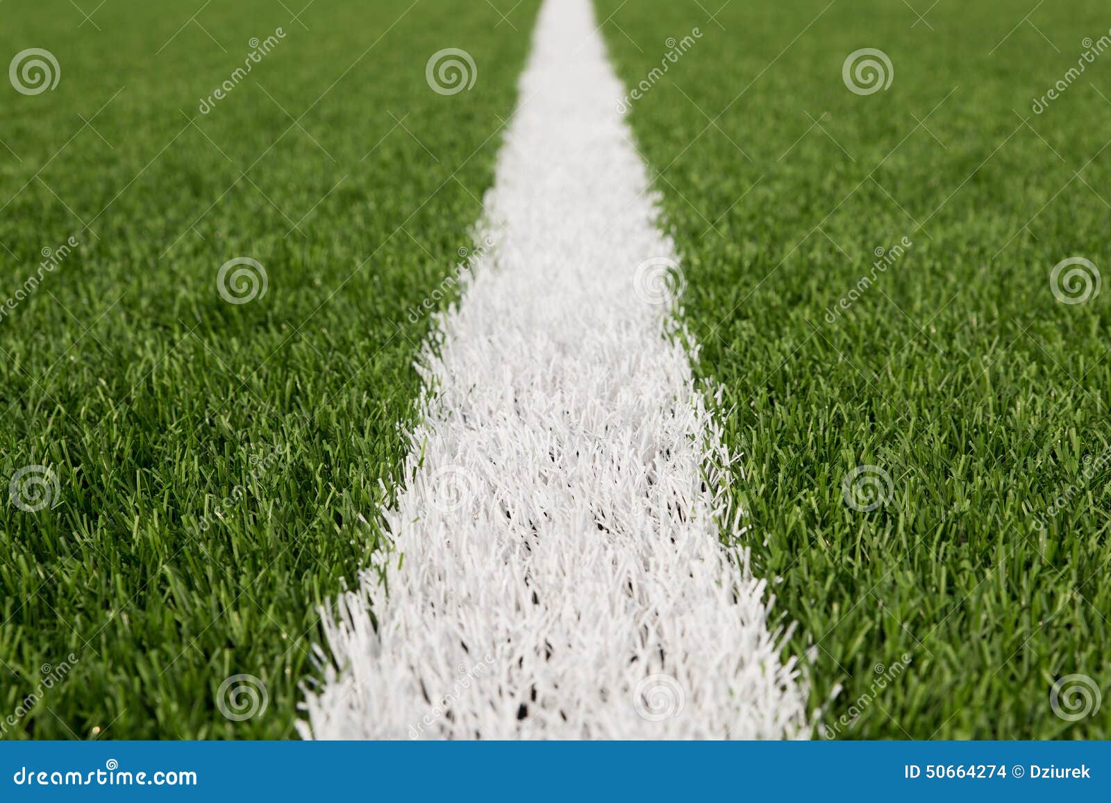 Straight line stock photo. Image of garden, natural, artificial - 50664274