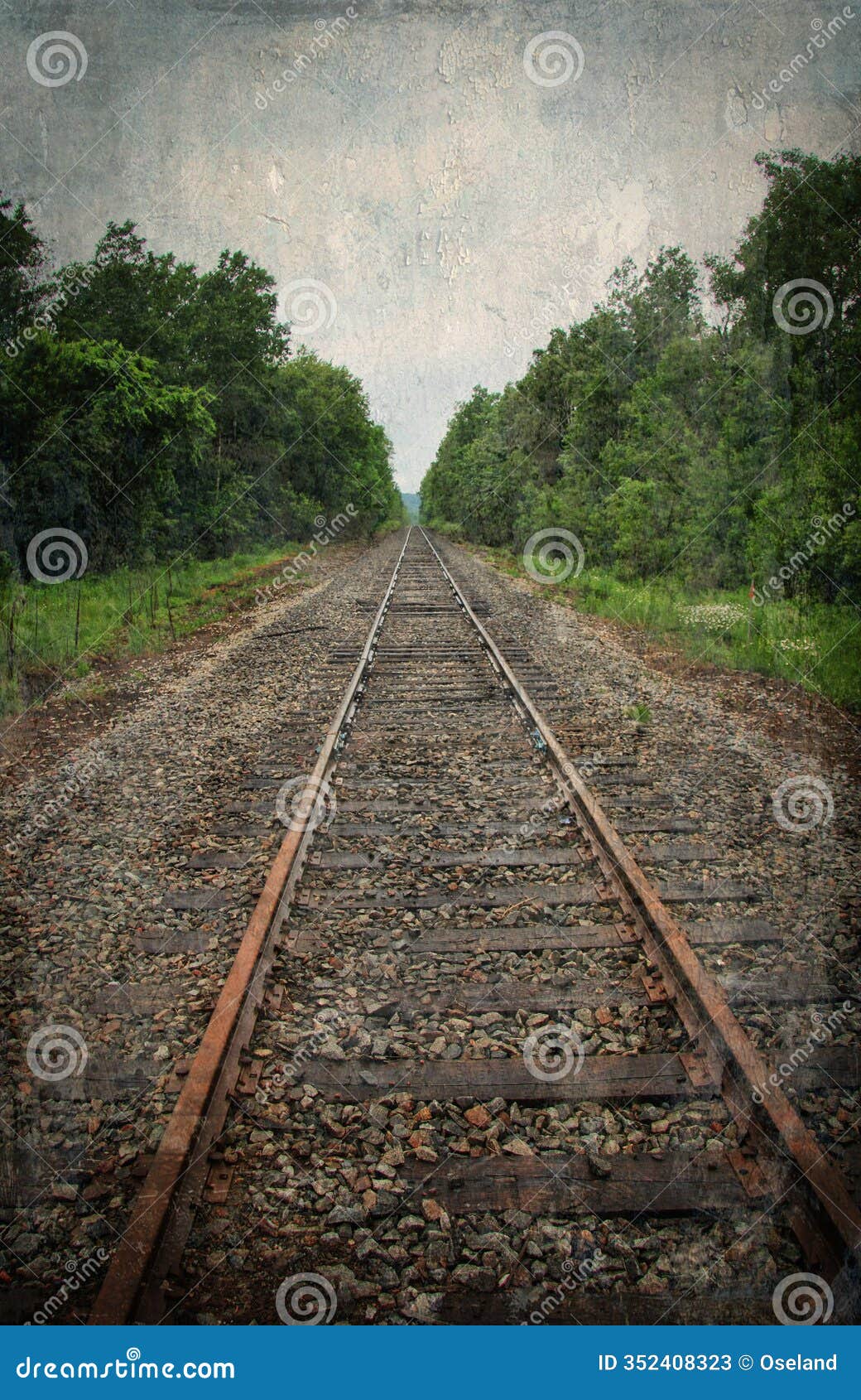Railroad Tracks Royalty-Free Stock Photo | CartoonDealer.com #18032217