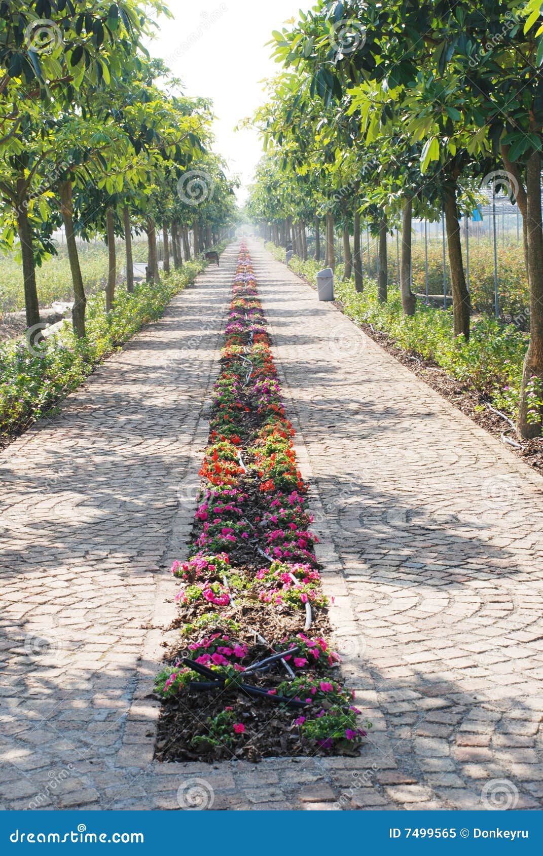 Straight park foot path stock image. Image of mall, footpath - 7499565