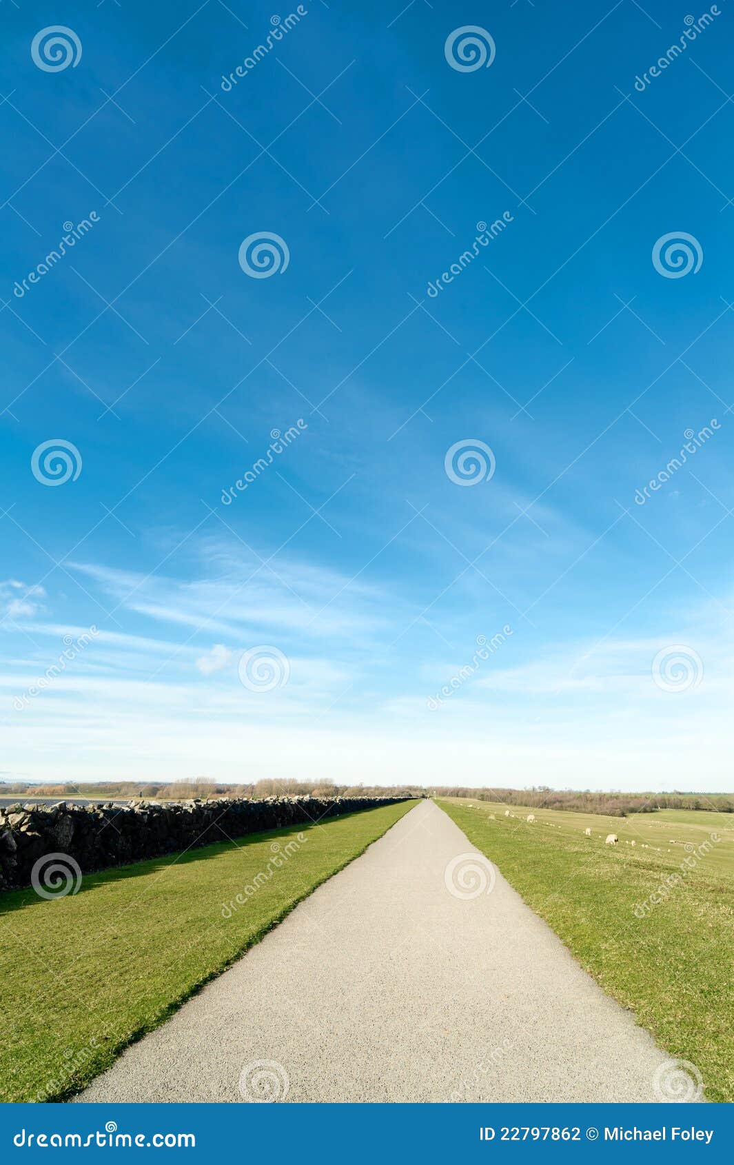 Straight path stock photo. Image of path, plain, progress - 22797862