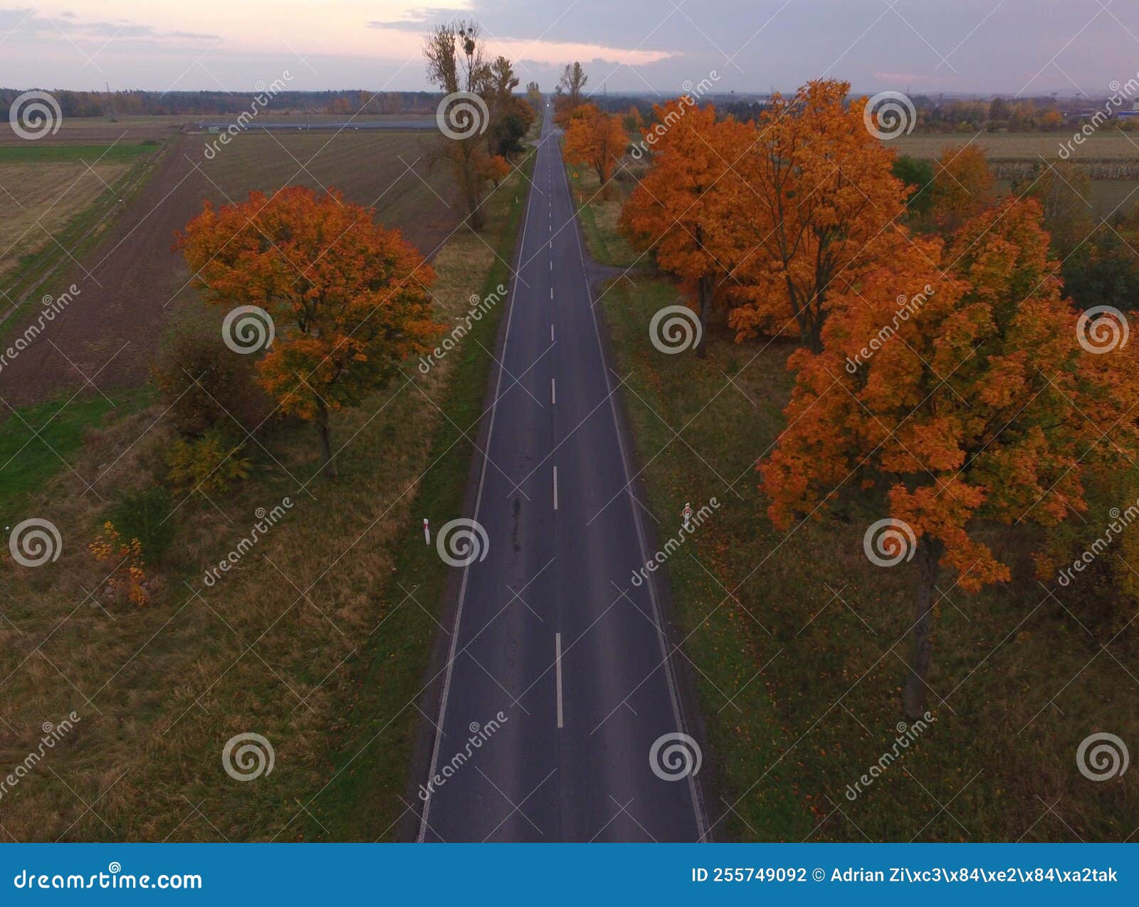 A Straight Path in Autumn Leads Far Away Stock Photo - Image of evening ...