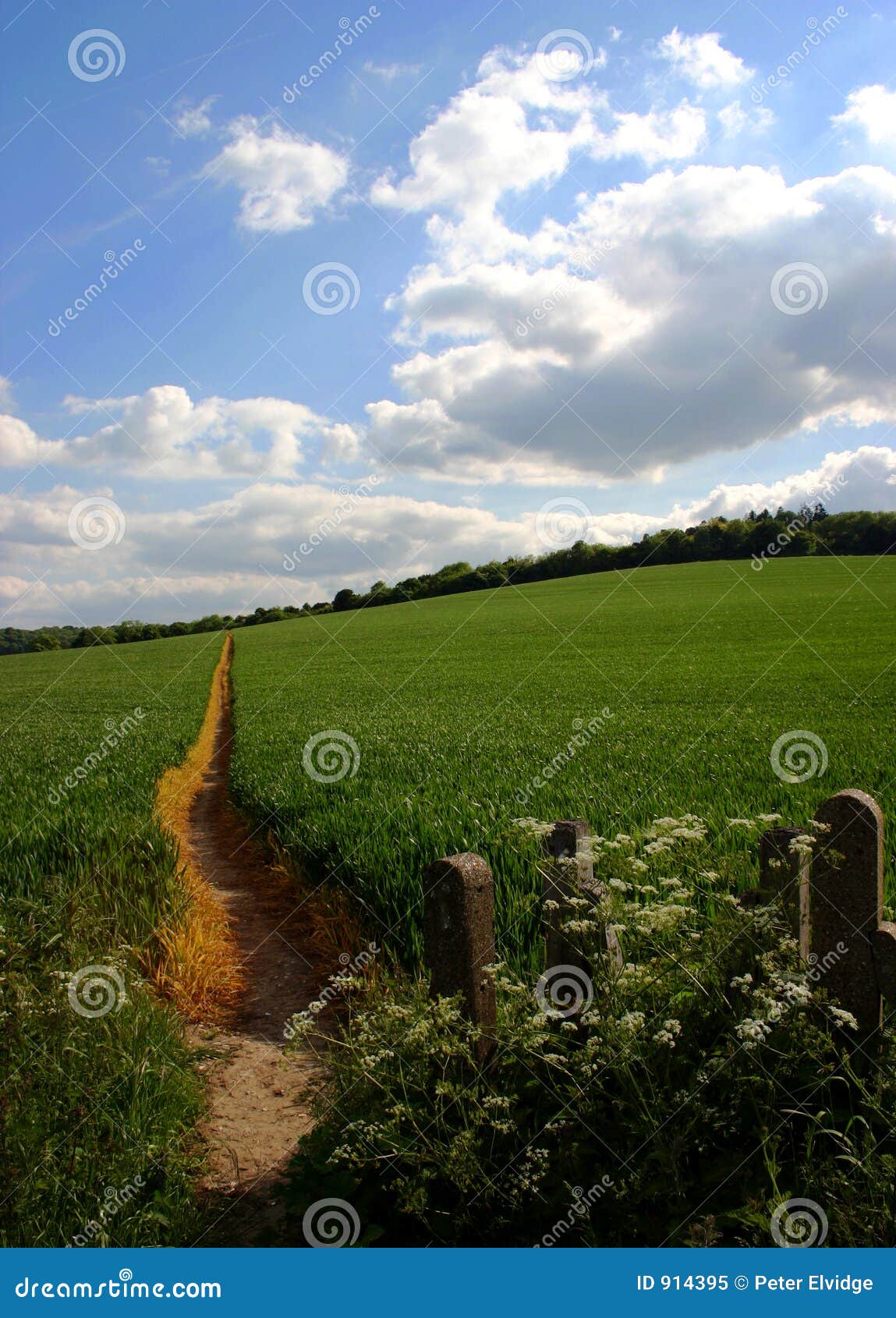 Straight Path through Farmland Stock Image - Image of english, lonely ...