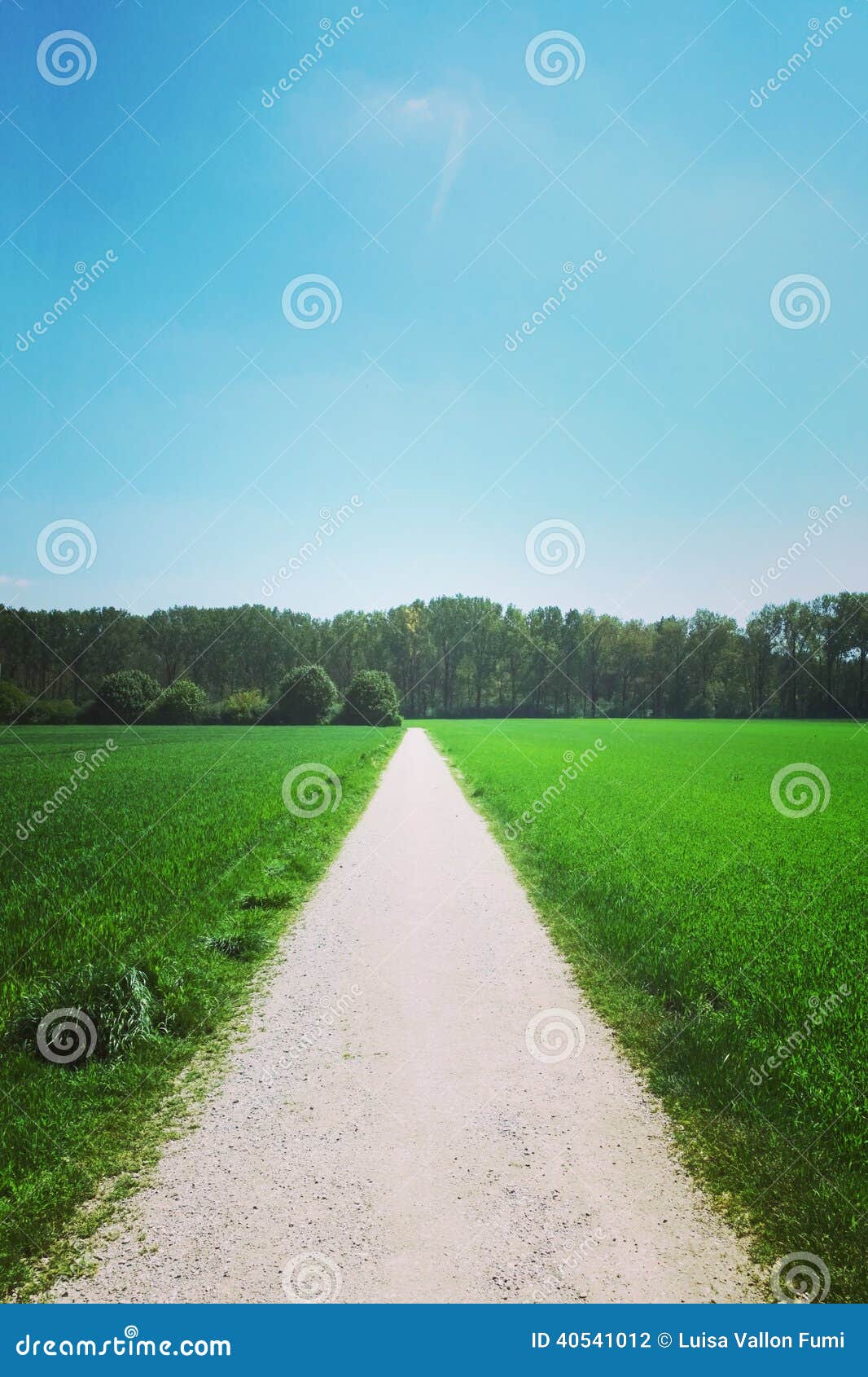 The straight path stock photo. Image of like, pasture - 40541012