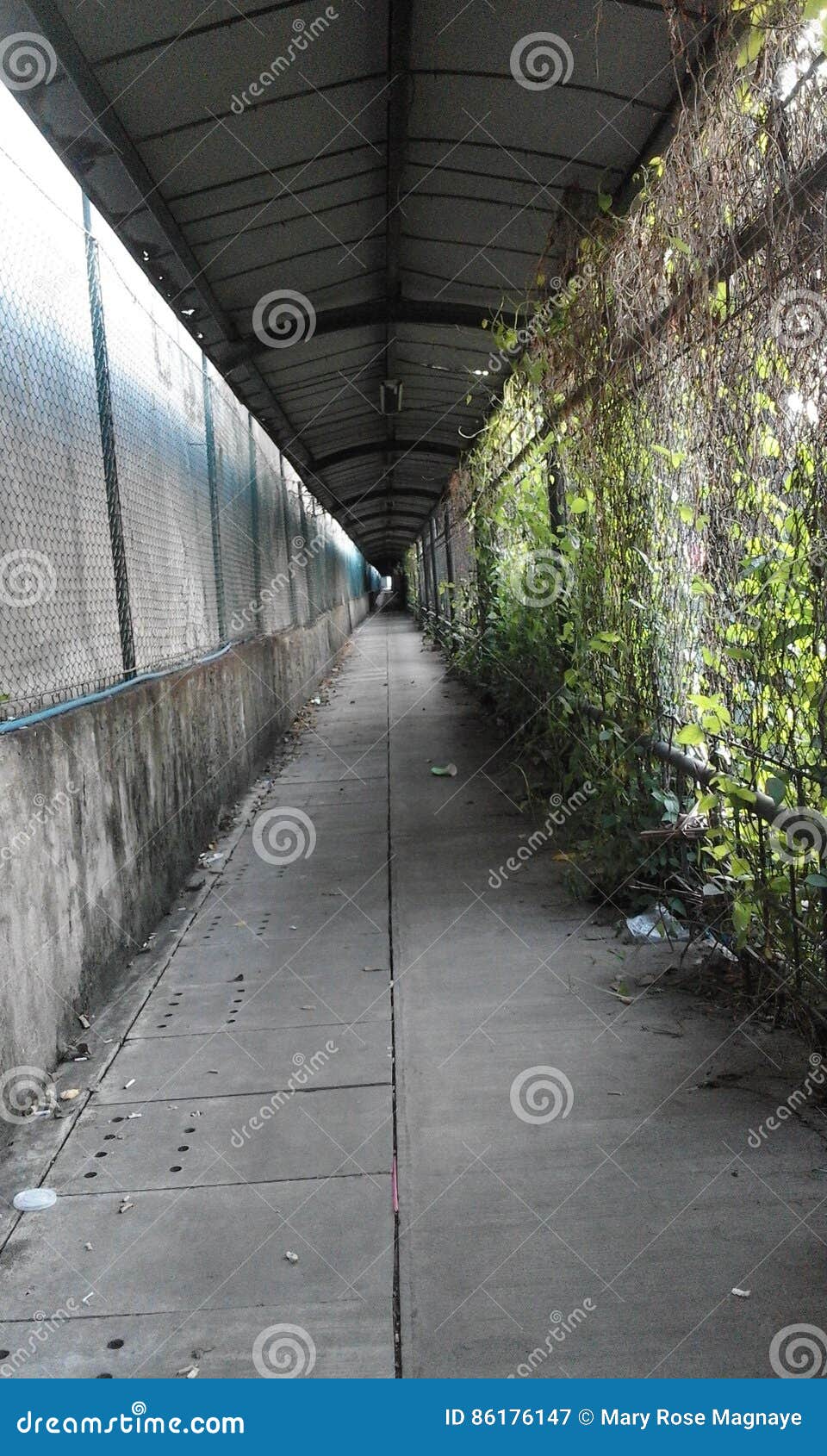 Straight Path stock image. Image of long, straight, path - 86176147