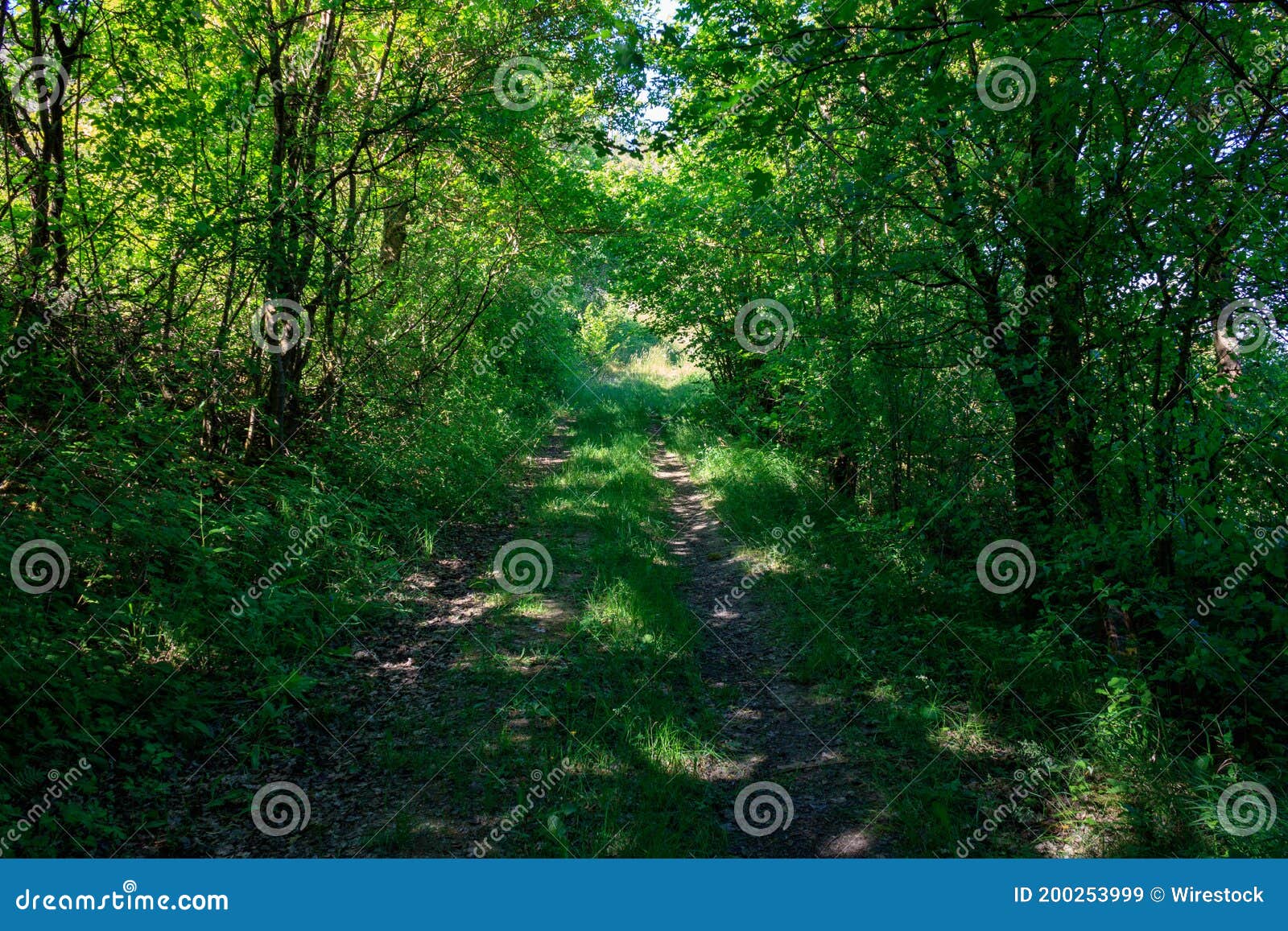 A Straight Pathway Flanked With Sandstone Ruins From The Convict Period ...