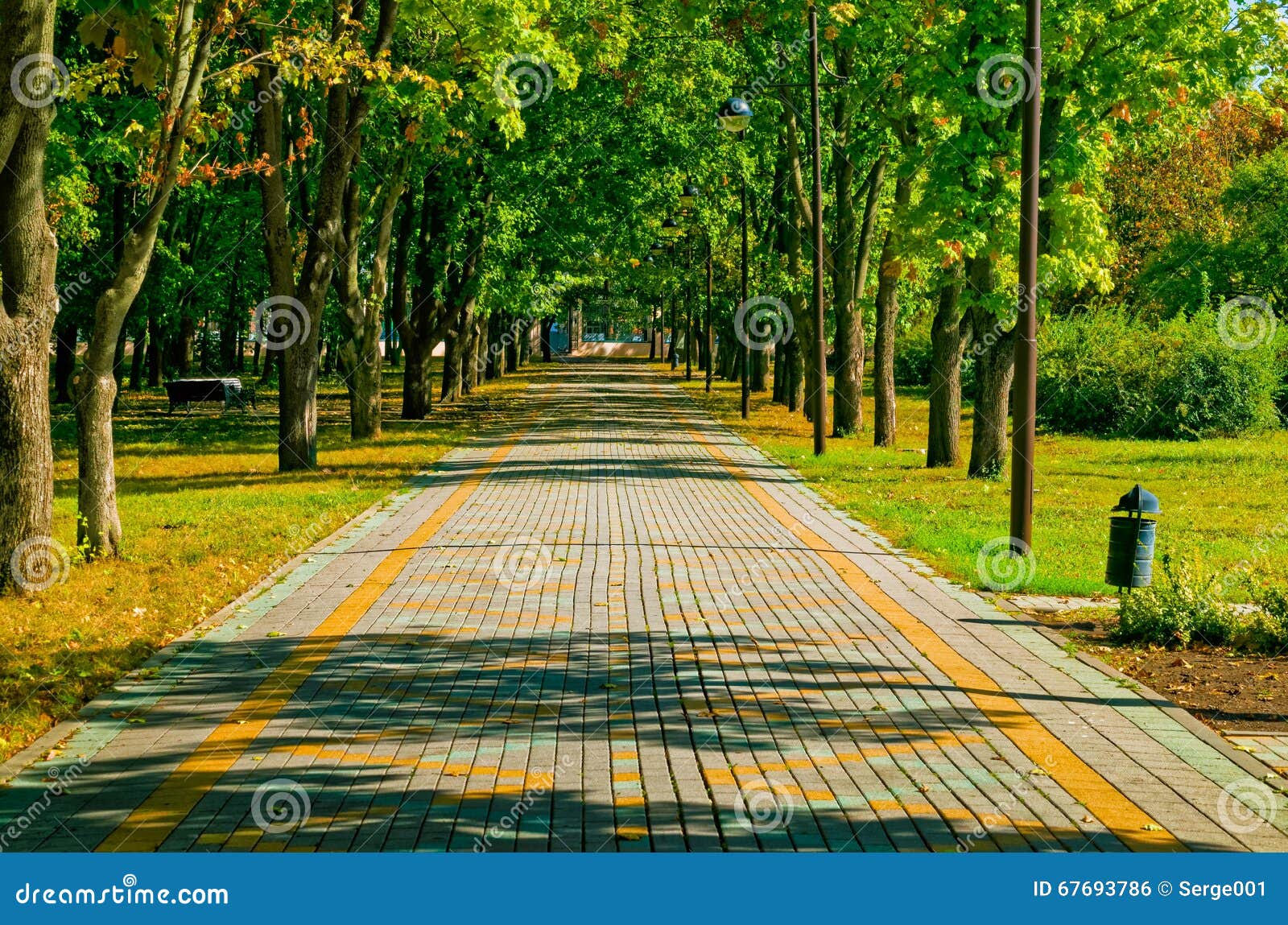 Straight Perspective Path in a Park Stock Photo - Image of tree, autumn ...