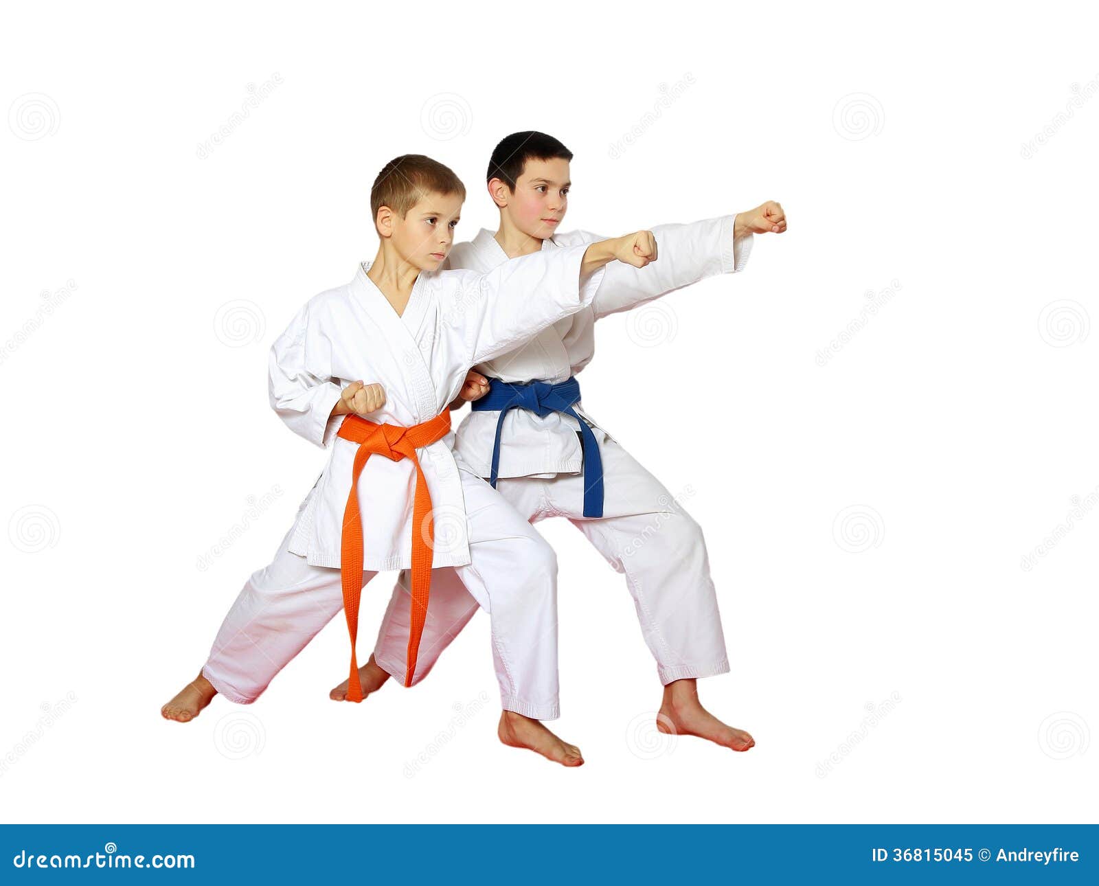 Straight Punch Hand in the Performance of Athletes on a White ...