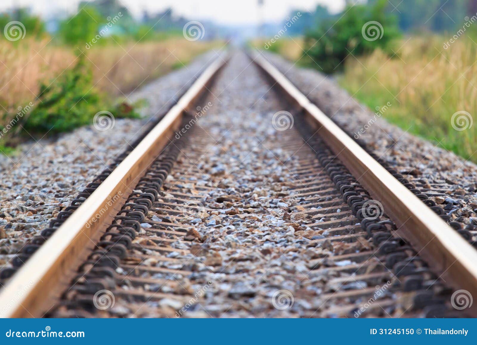 Straight railroad track stock photo. Image of rusty, metal - 31245150