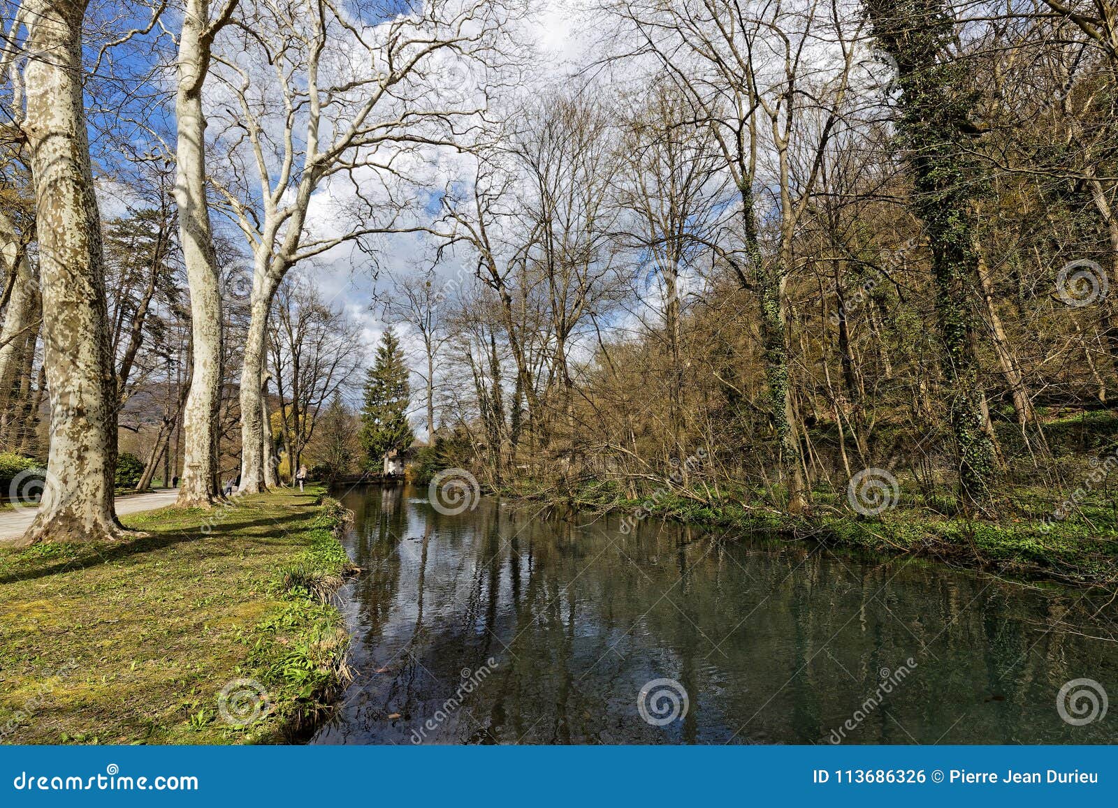 Straight River Runs through the Forest Stock Photo - Image of canal ...