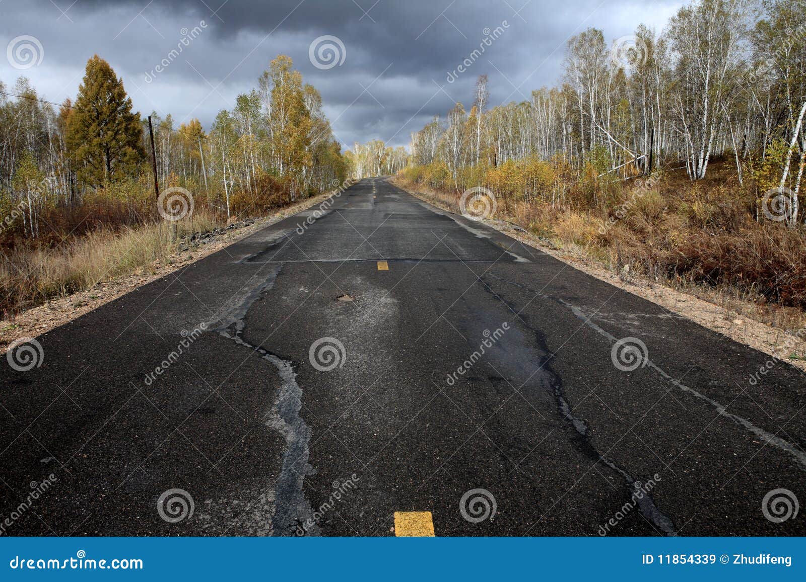 Straight road stock image. Image of spring, forward, outdoors - 11854339