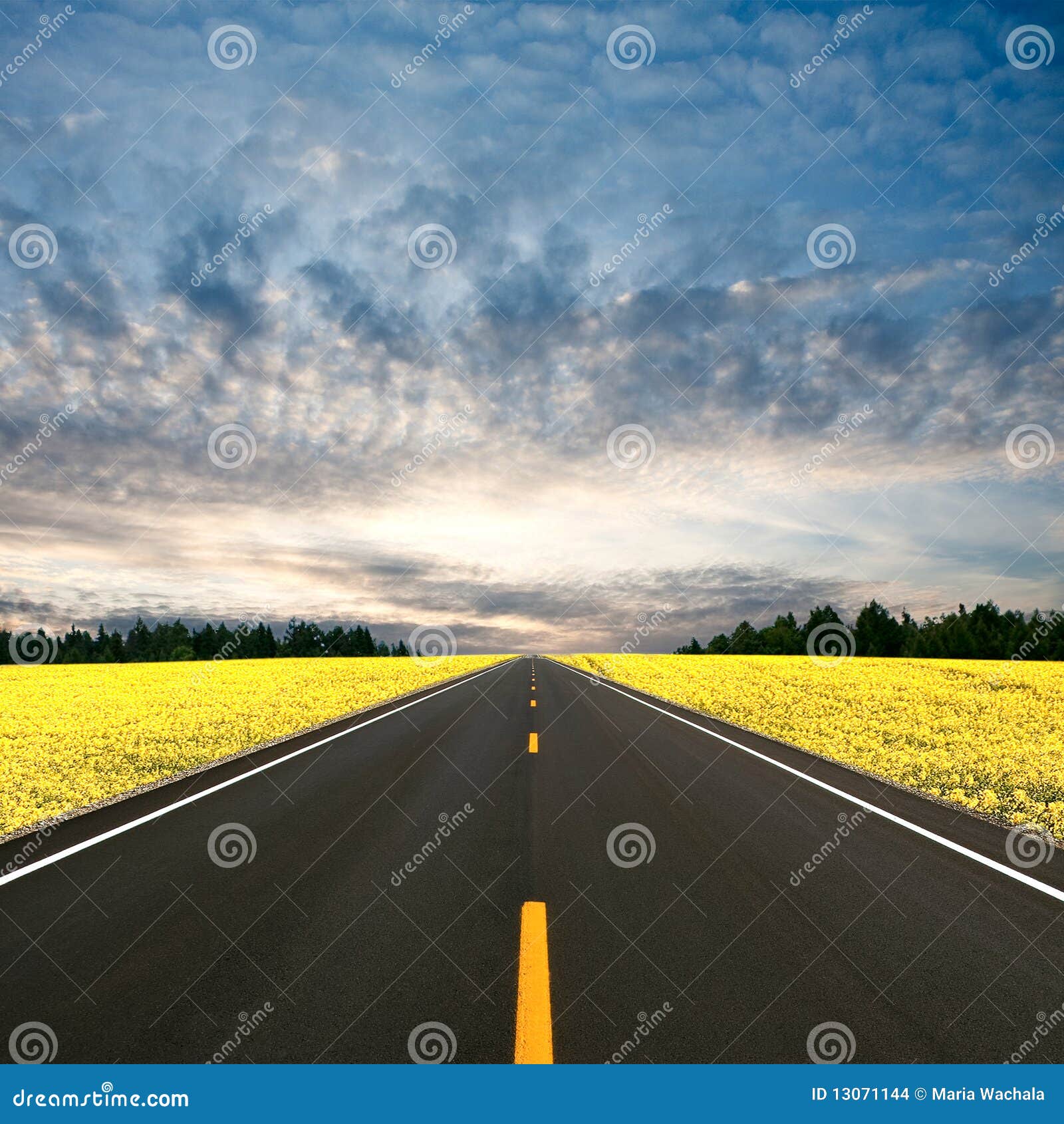 Straight Road stock photo. Image of blue, green, journey - 13071144