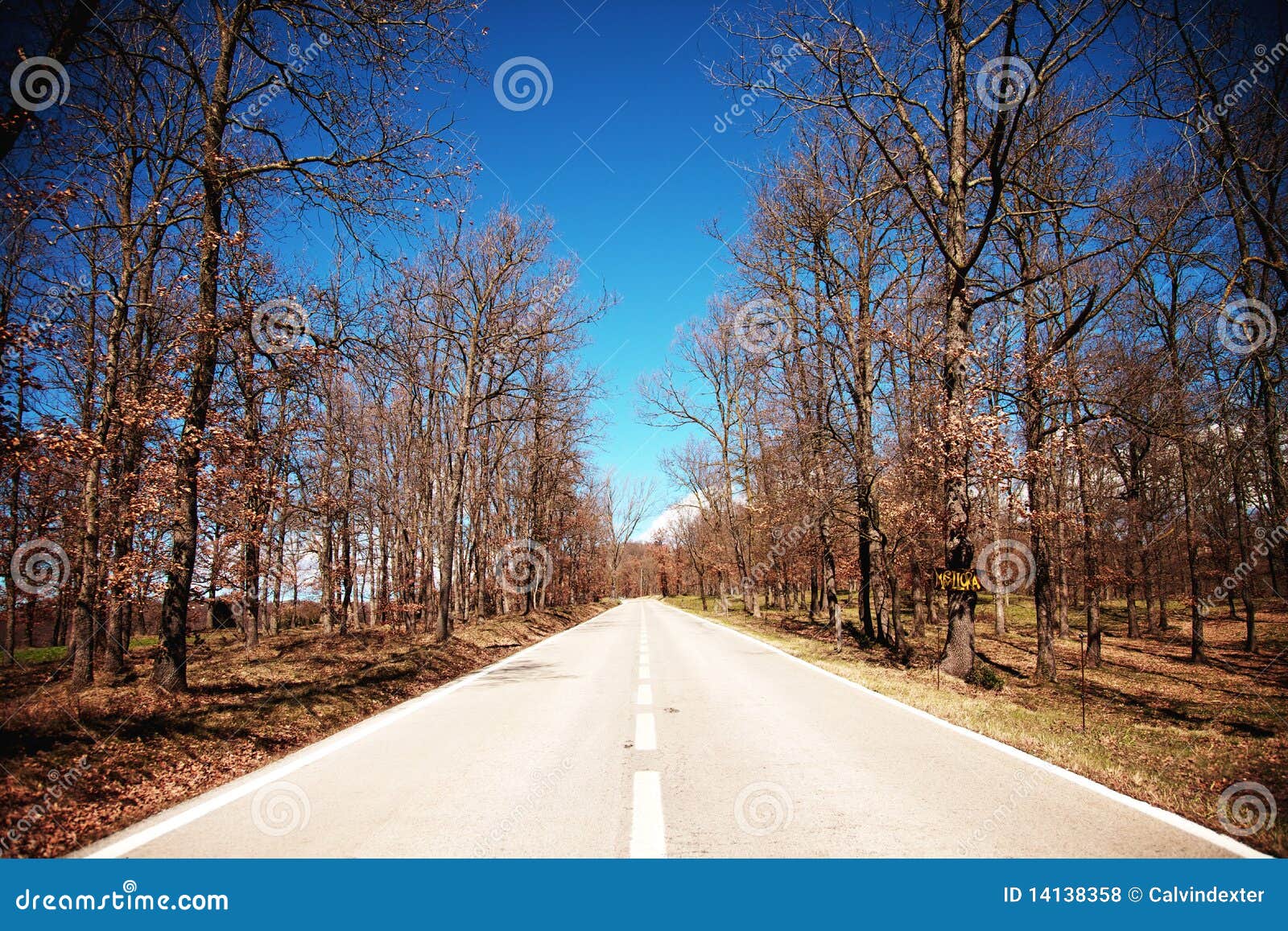 Straight road stock photo. Image of horizontal, white - 14138358