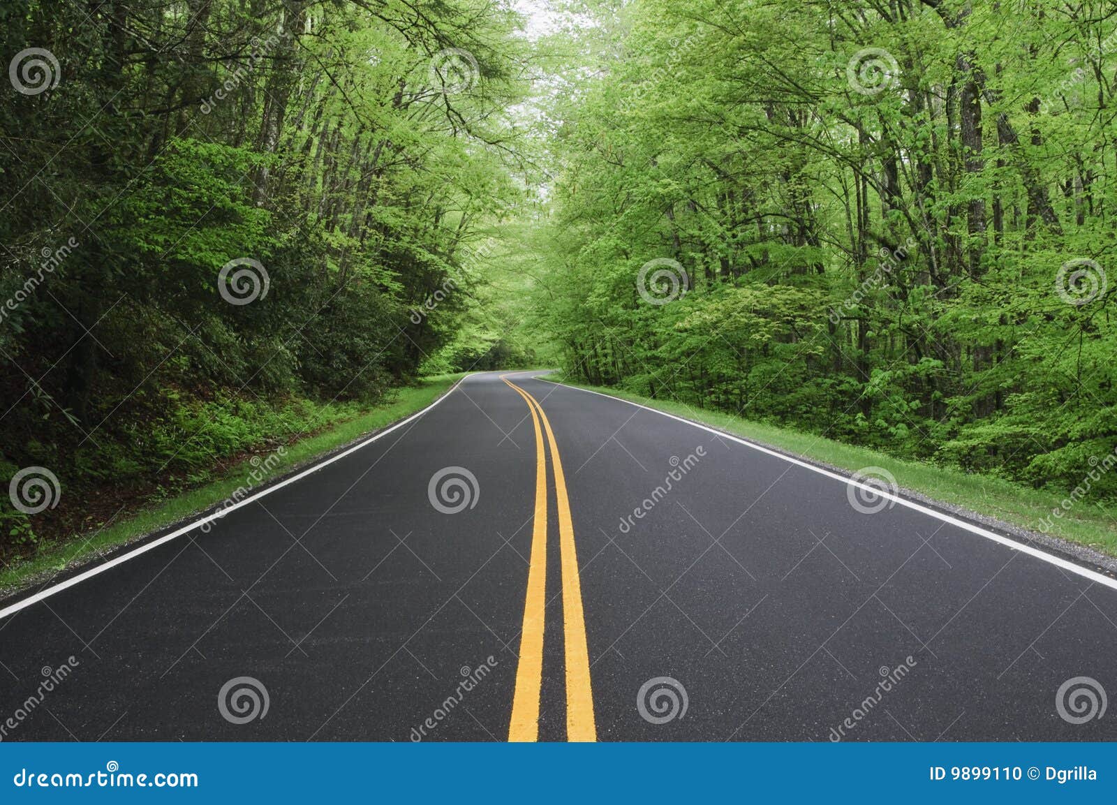 Straight road stock photo. Image of marking, journey, environment - 9899110