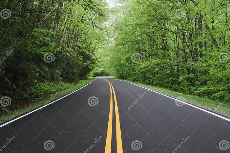 Straight road stock photo. Image of marking, journey, environment - 9899110