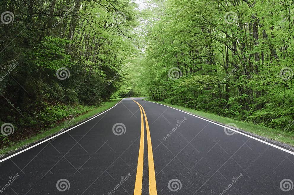 Straight road stock photo. Image of marking, journey, environment - 9899110