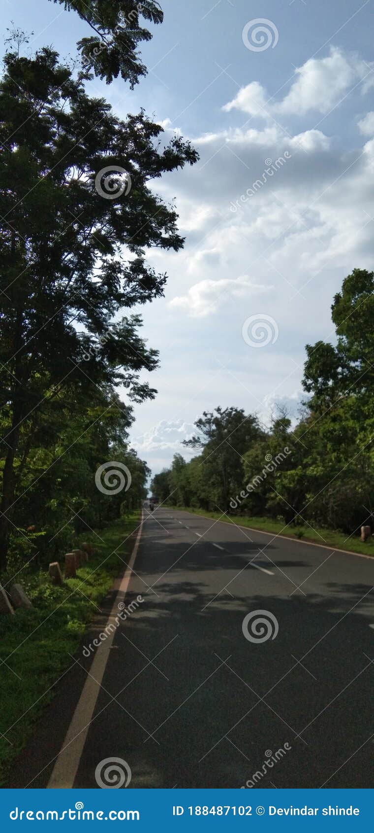 Straight road bike coming. stock photo. Image of tree - 188487102